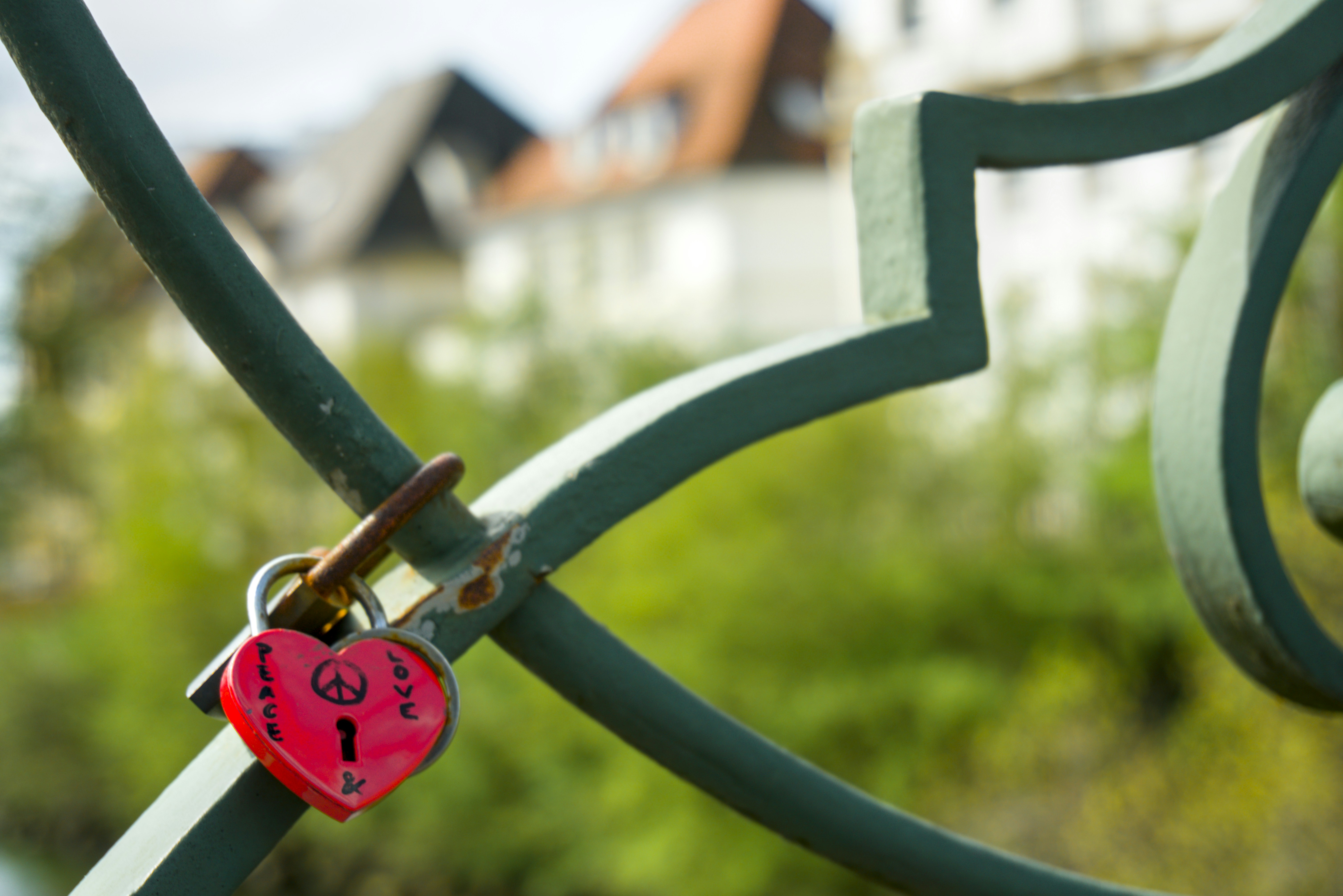 Lock on the Gate: a Love Padlock Clinges to Wrought Iron