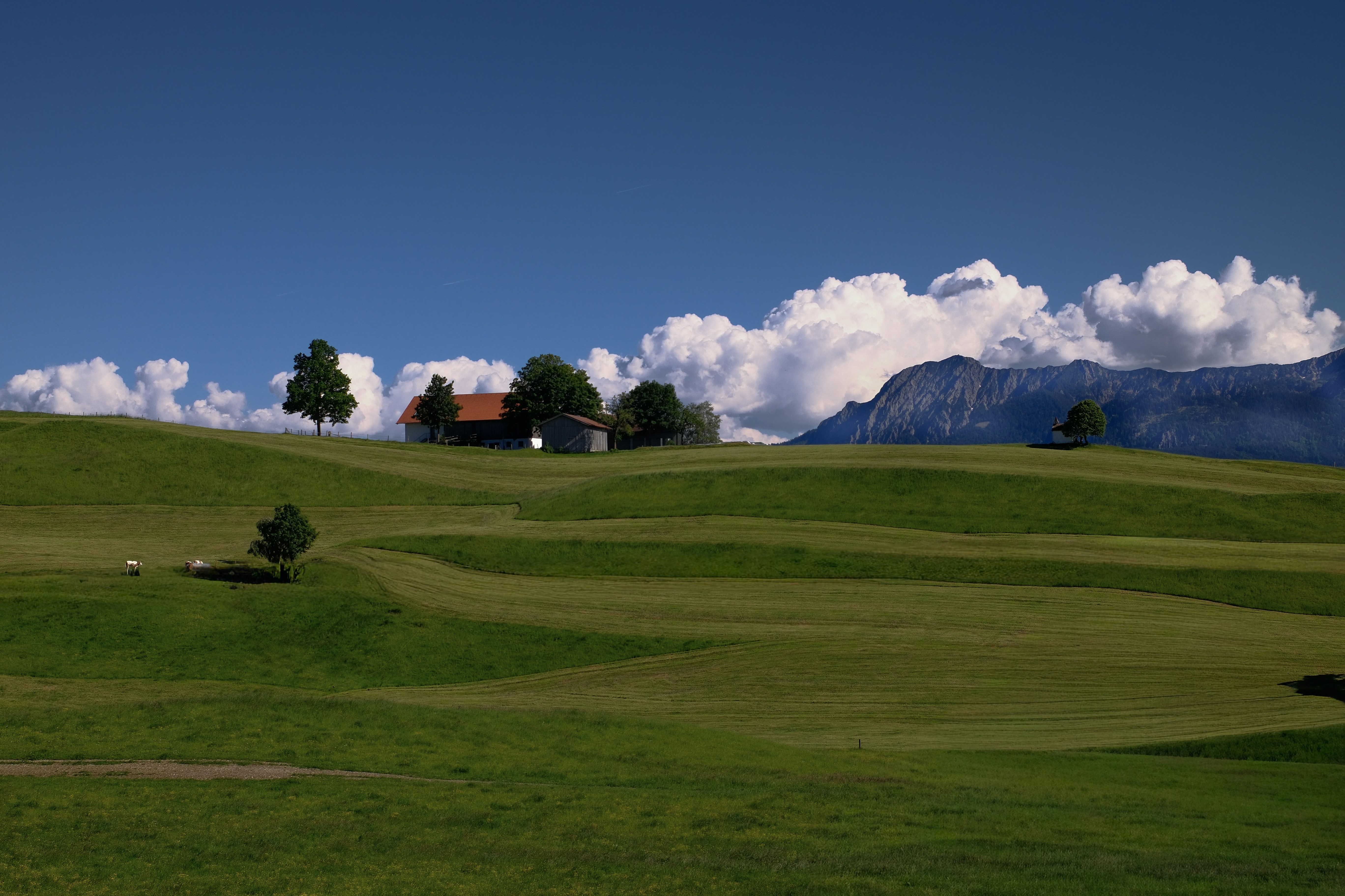 Quiet Homestead Under a Crown of Clouds