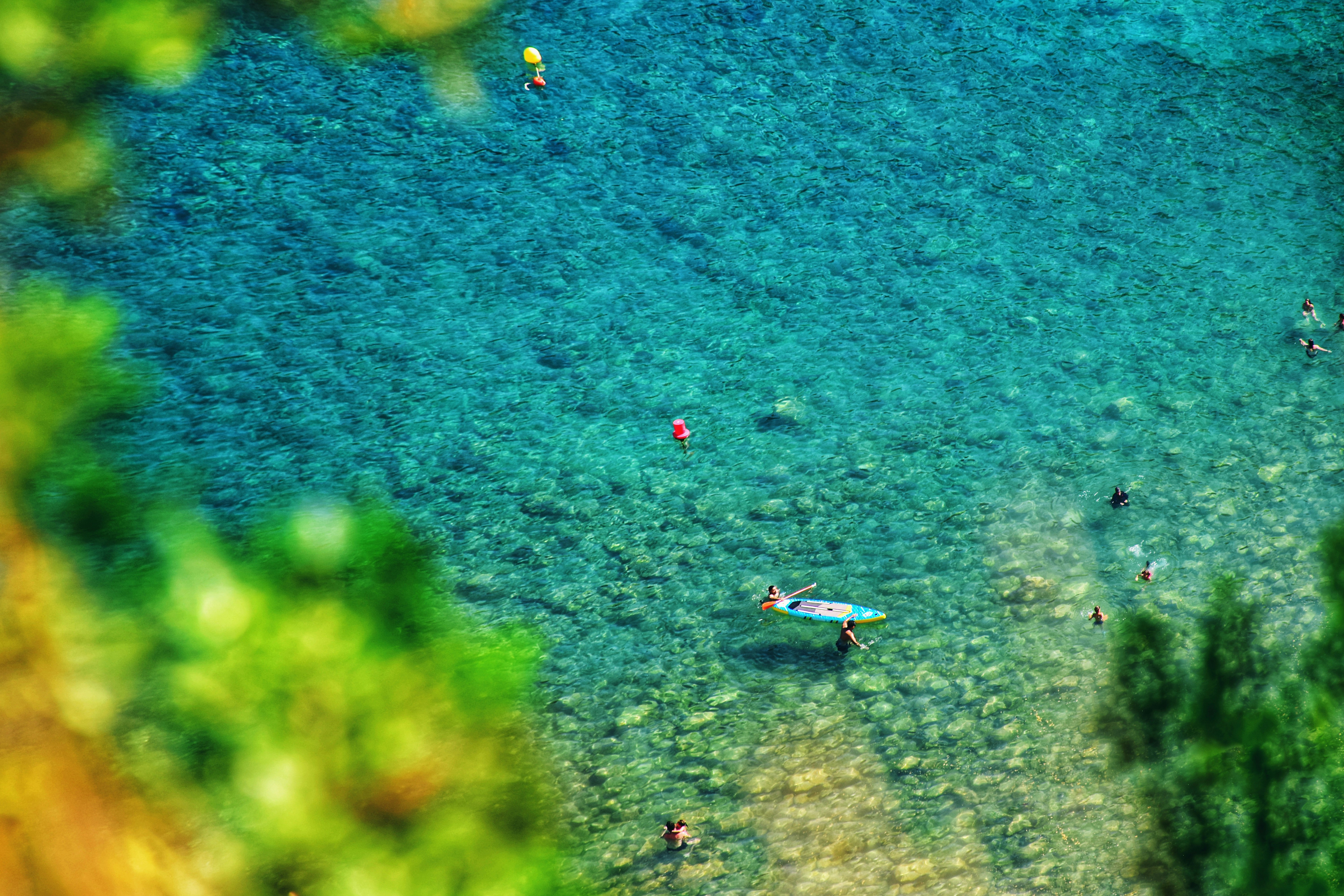 Emerald Sea Beneath a Lush Canopy