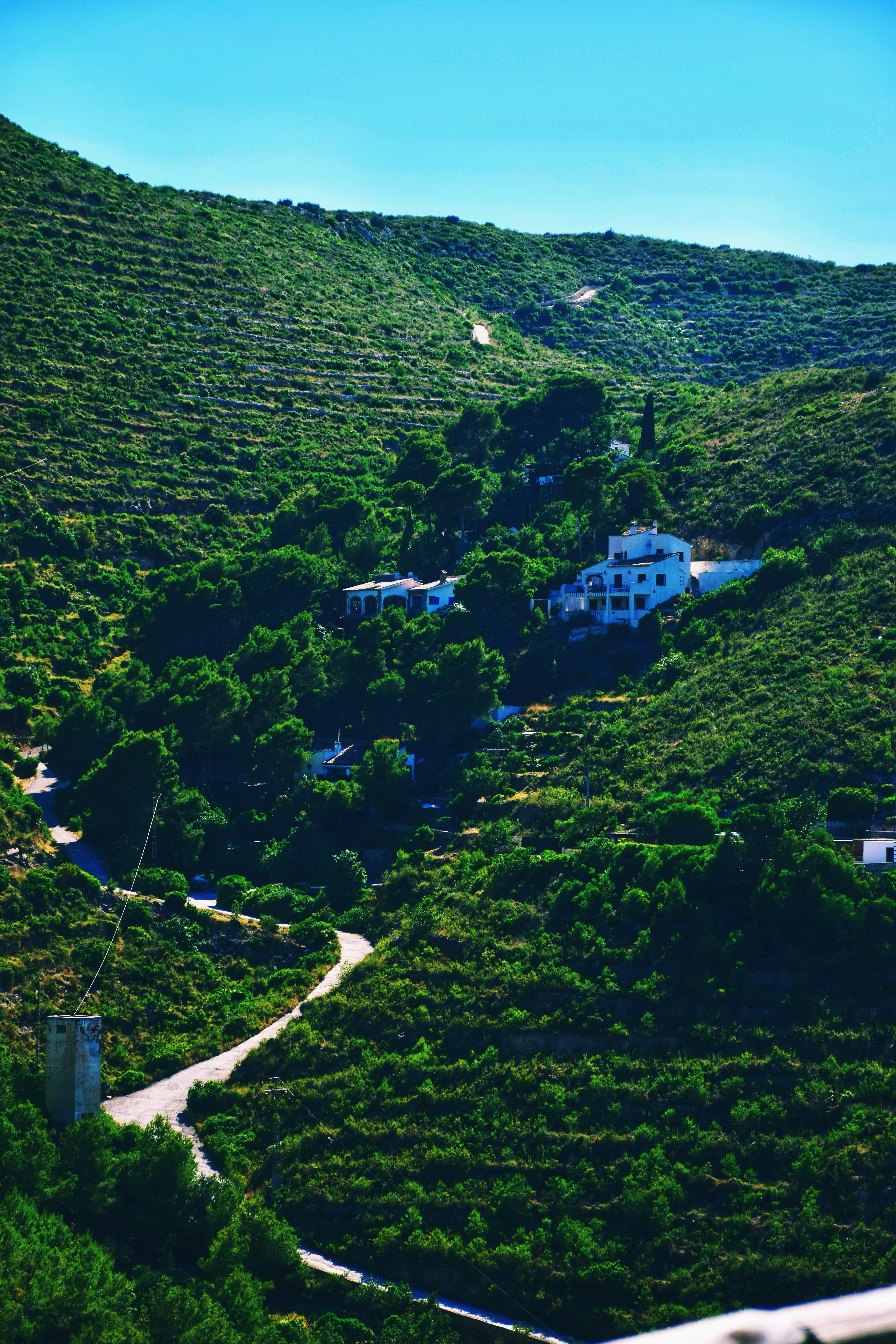 White Houses Nestled in a Terraced Green Valley