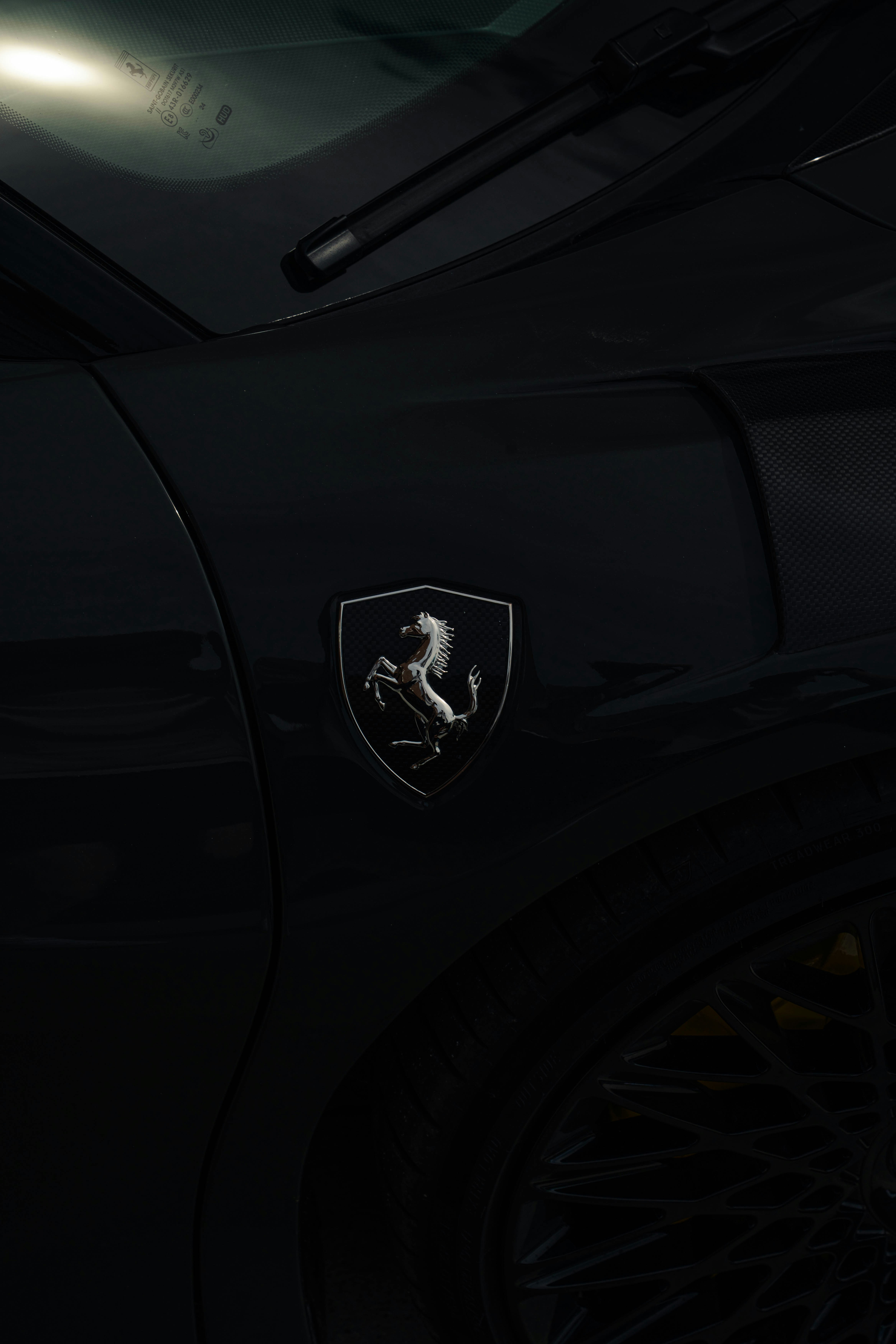 Emblem in Shadow: A Dark Panther’s Carve on a Pristine Hood
