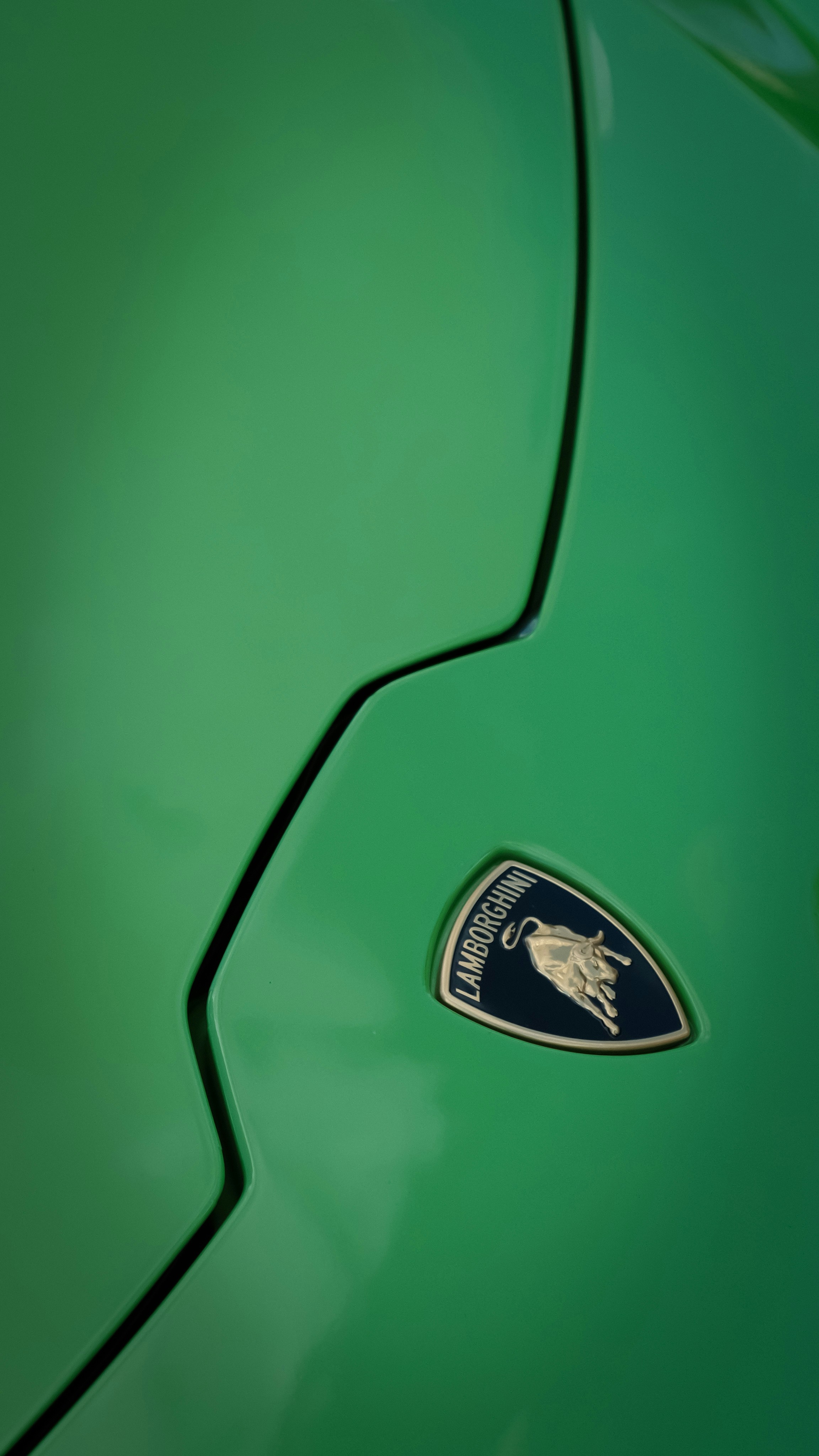 Lamborghini emblem on a vibrant green sports car.