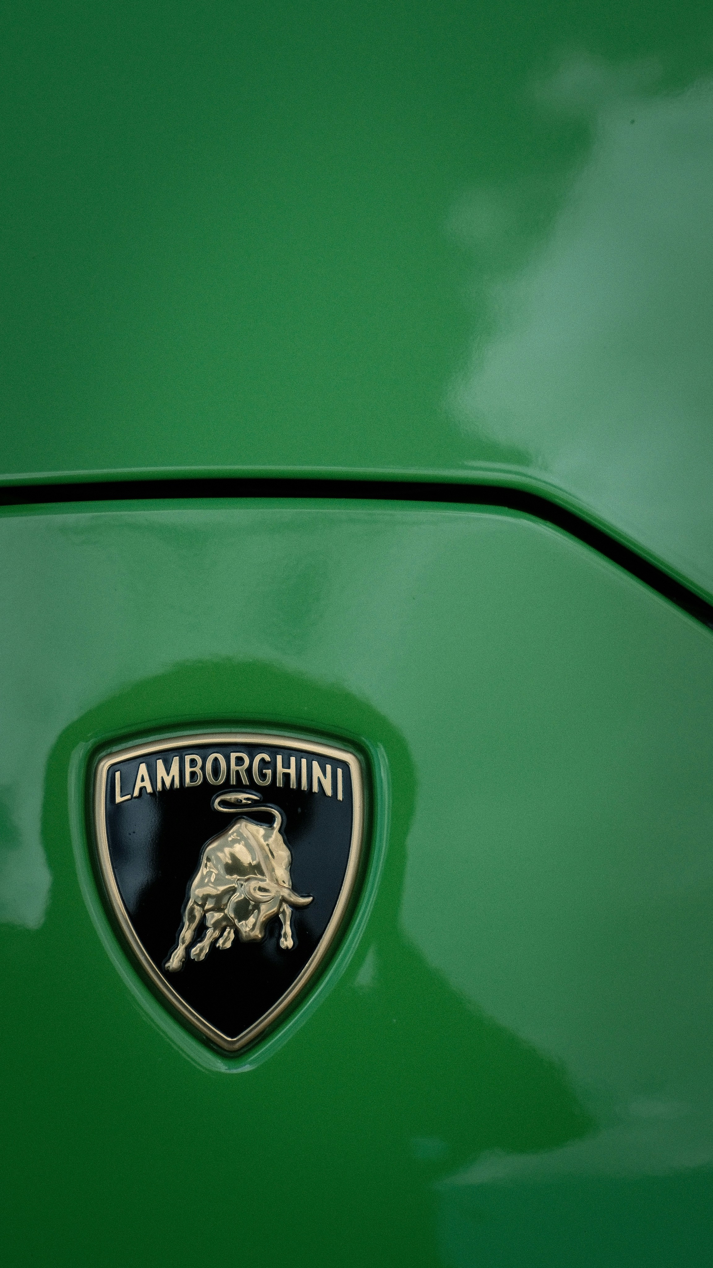 Emerald Curves: The Lamborghini Emblem on Glossy Green
