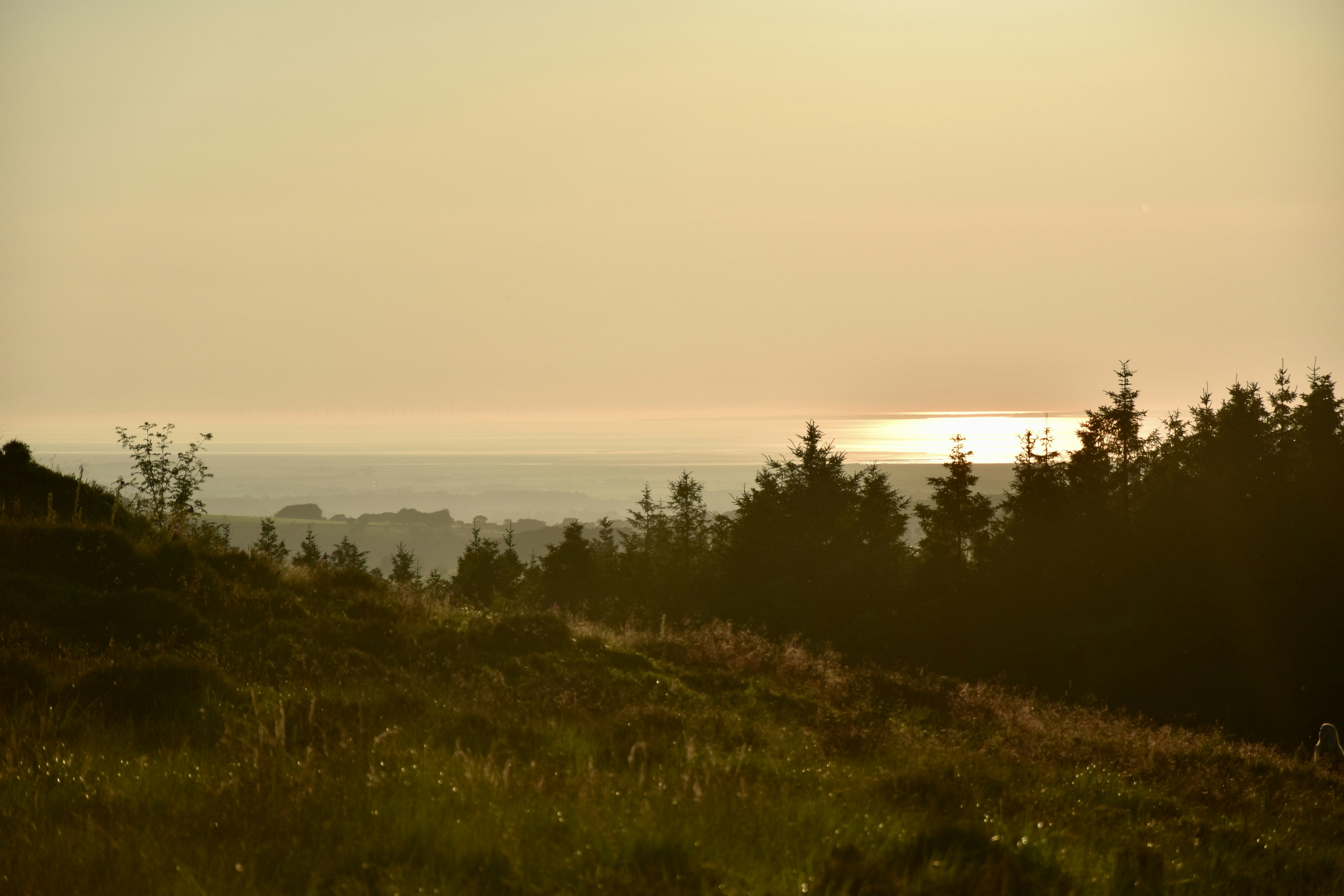 Golden Crest: Dusk Shroud over Coastal Hills