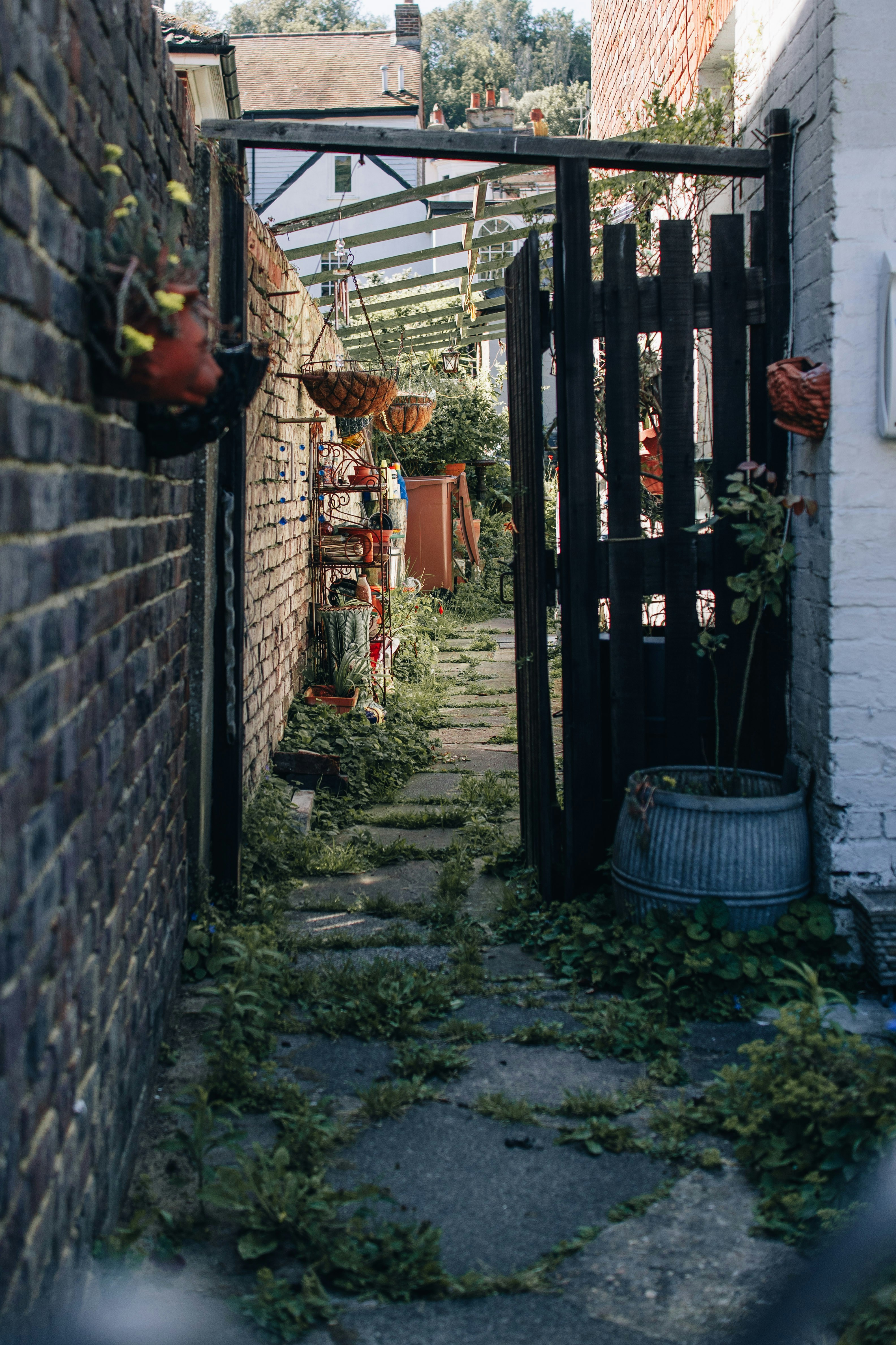 A Narrow Garden Corridor Between Brick and White: A Quiet Backyard Pathway