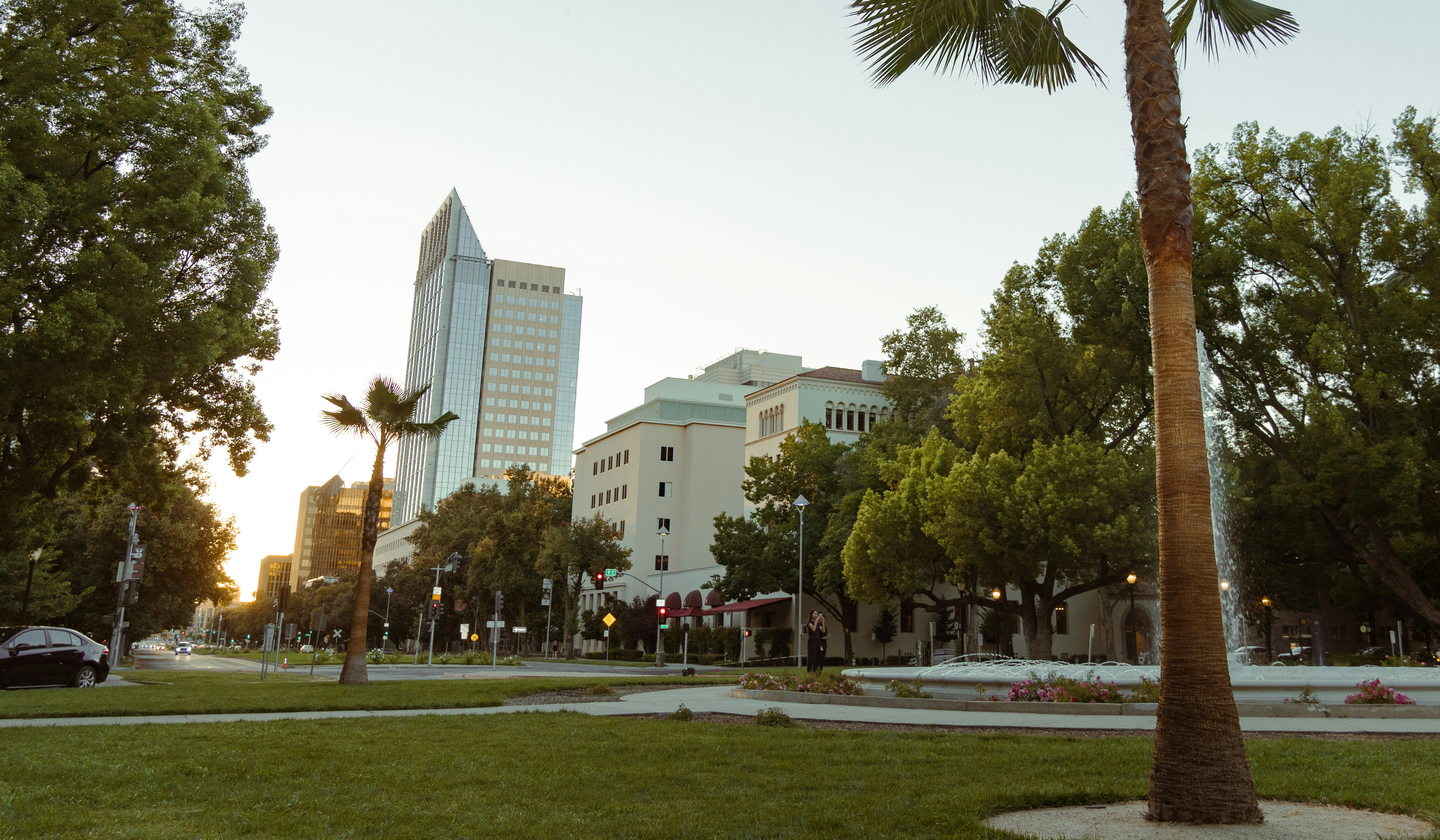 Sunlit Boulevard: Urban Trees Framing a Modern Skyline