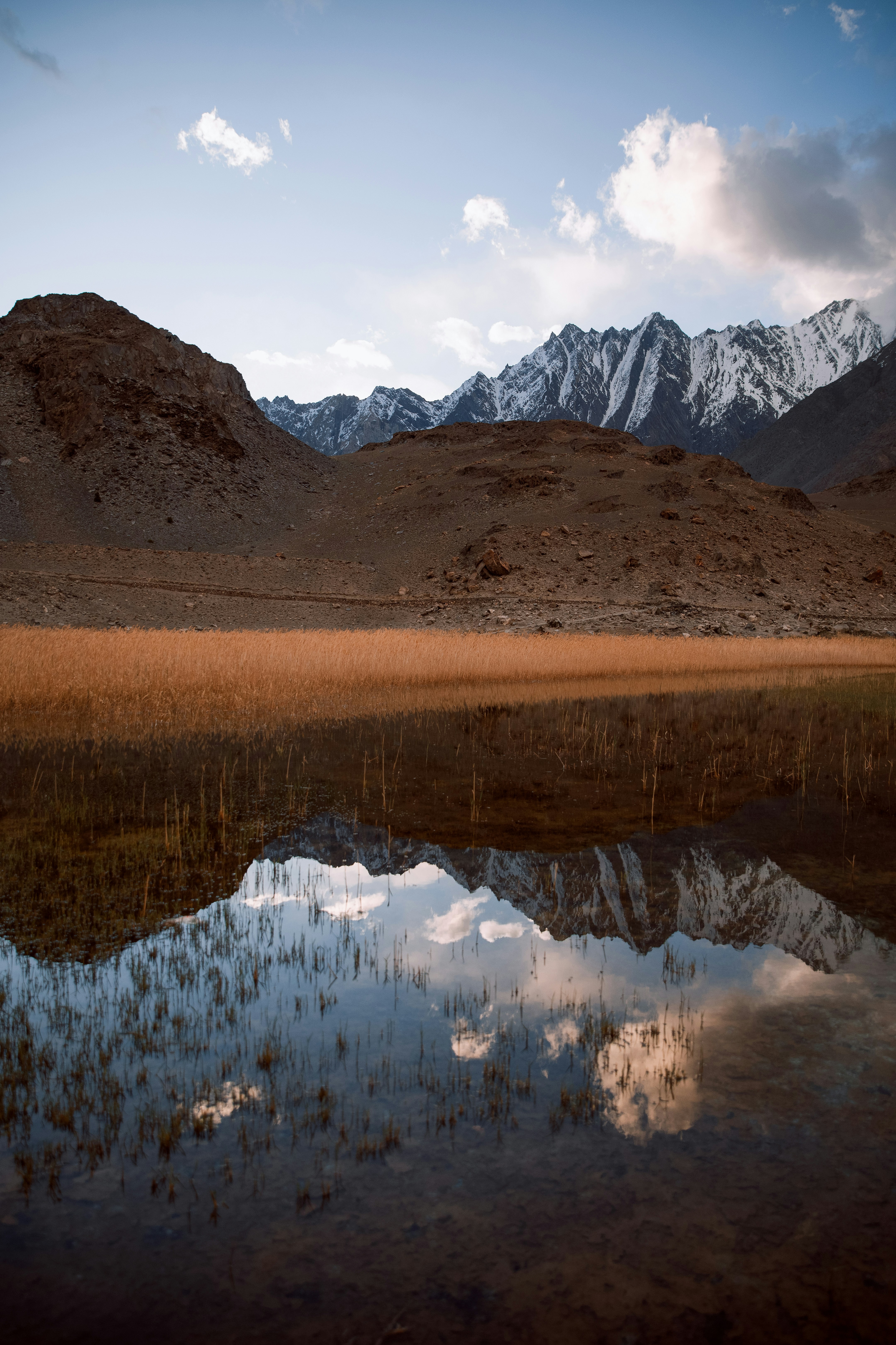 Snowbound Peaks and Golden Grass Reflections