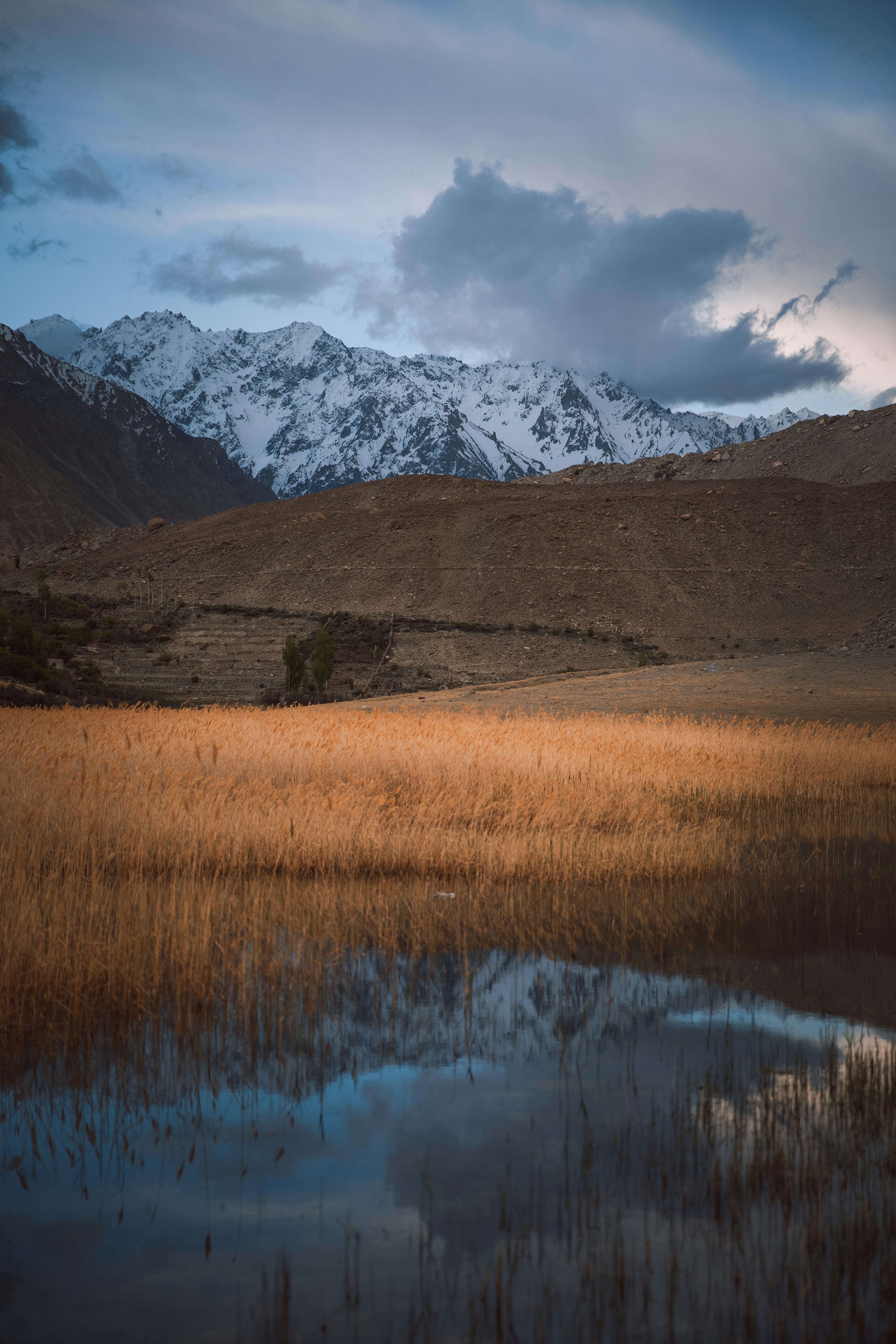 Golden grass meadow reflects a blue sky and distant snow-capped mountains; a tranquil landscape captured near a reflective pool that mirrors the scene.