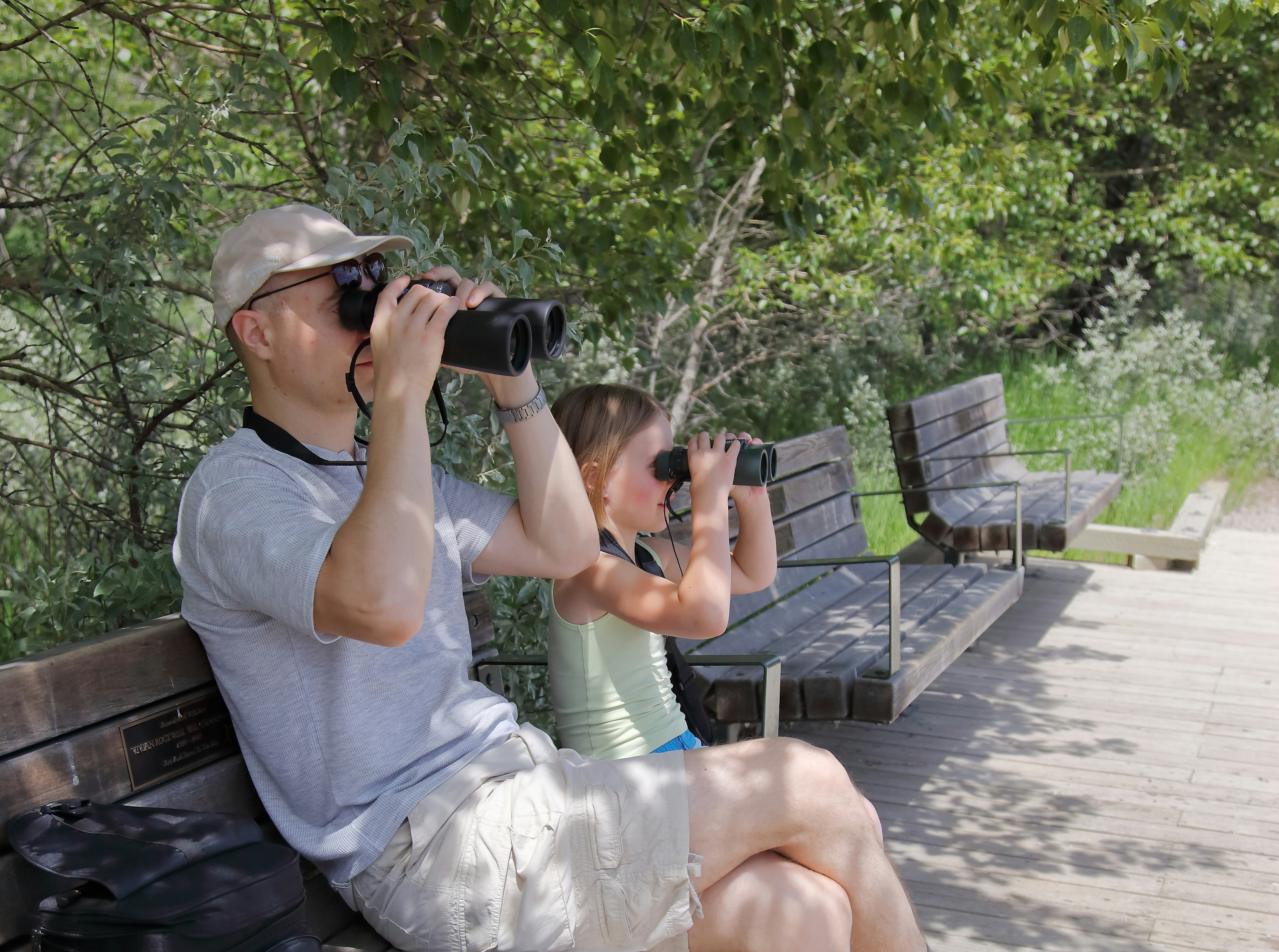 Binoculars and Bench: Family Nature Watchers in Dappled Light
