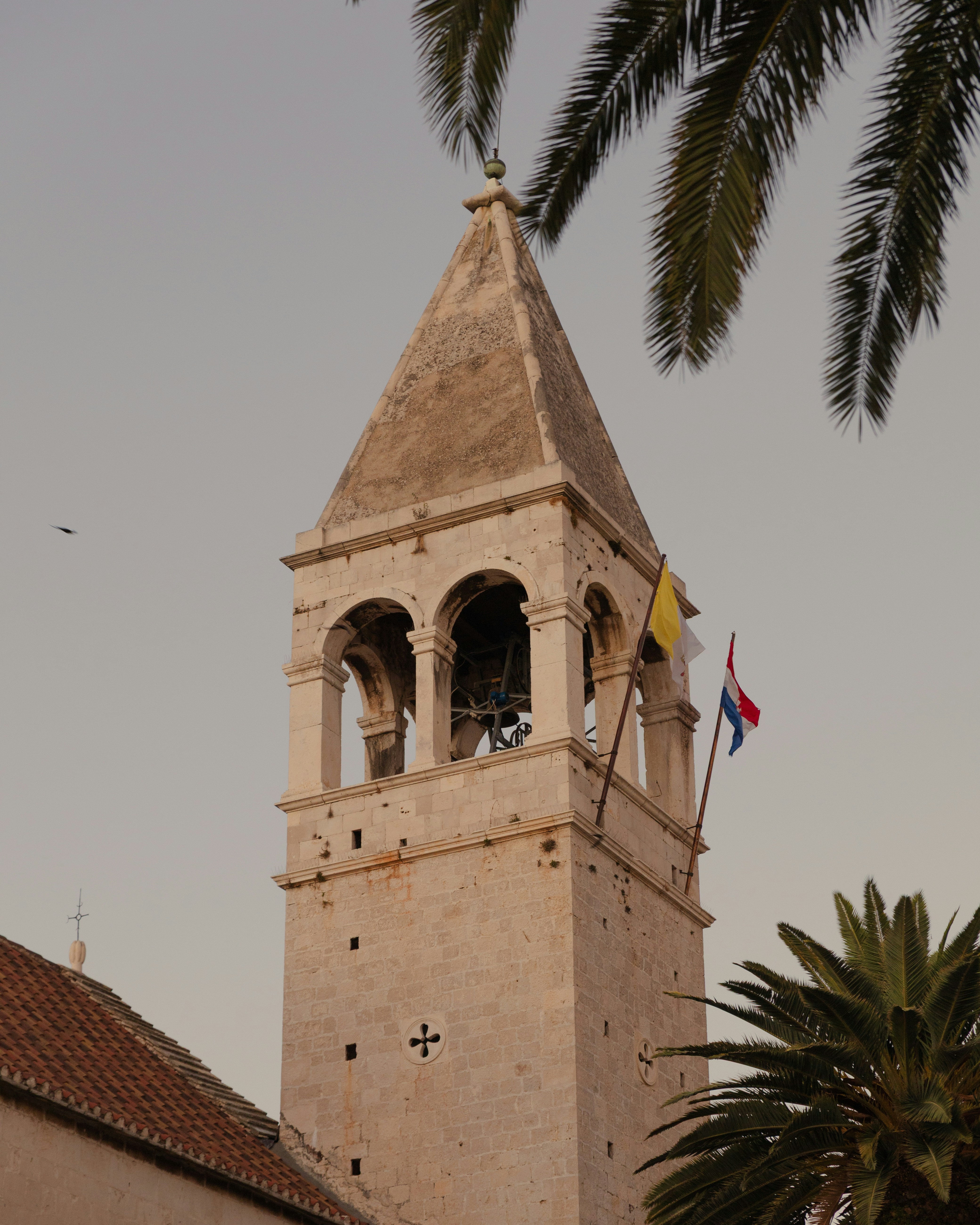 Stone Bell Tower Rising Above Palm Fronds