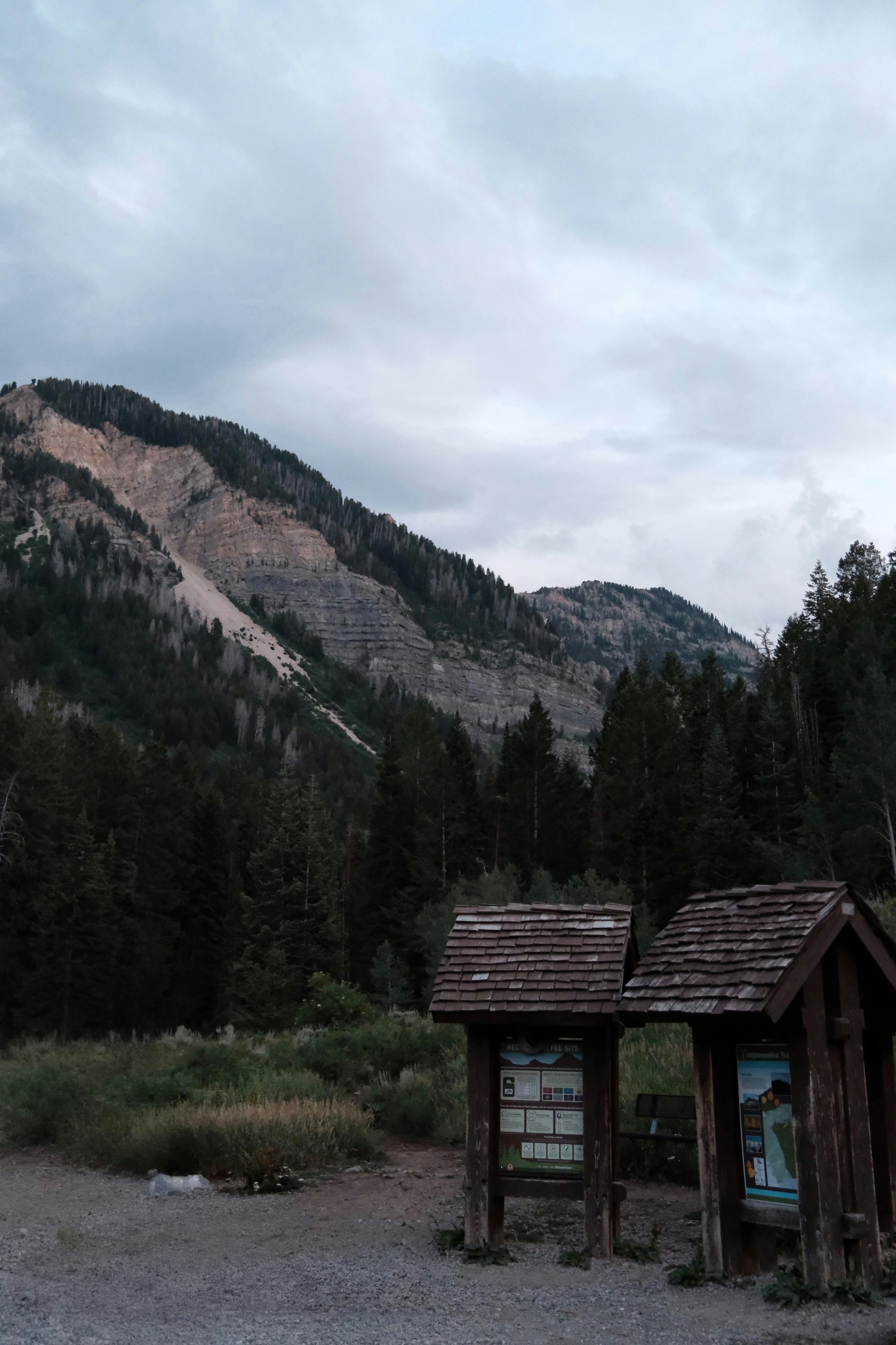 Trailhead Overlook: Wooden Information Kiosk Amid Pine Ridge