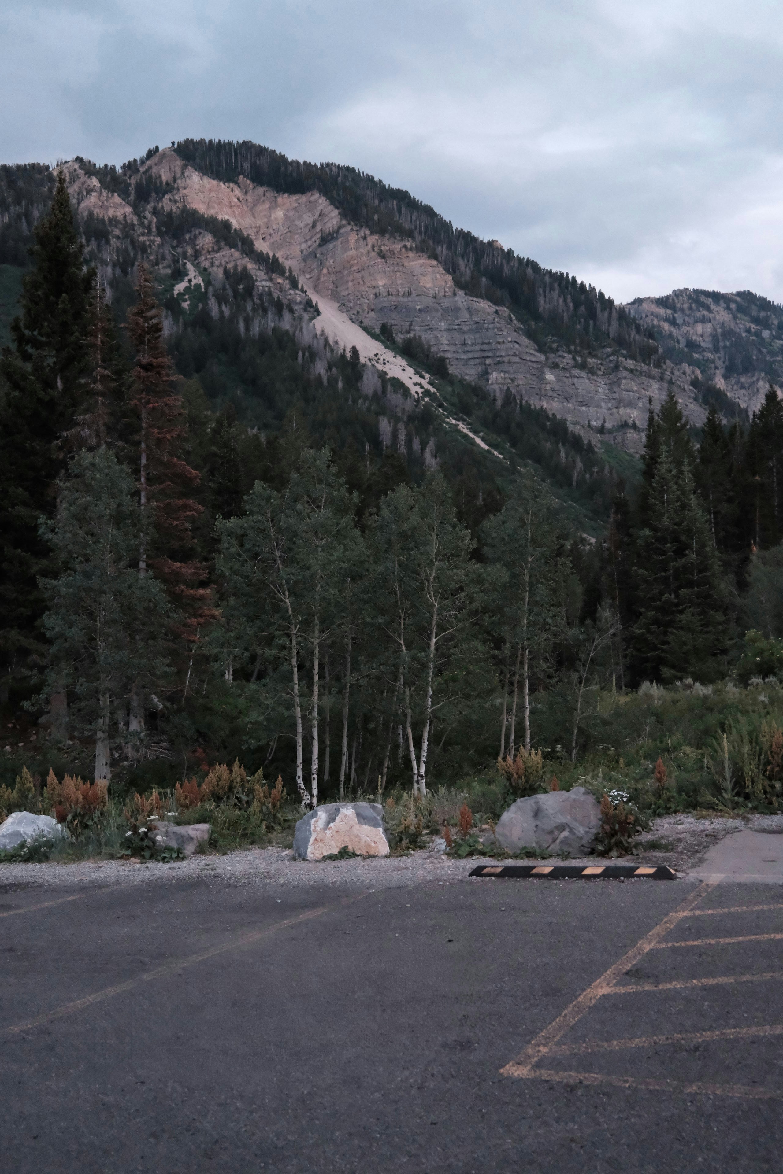 Mountain Stage: A Quiet Parking Lot Before the Pines