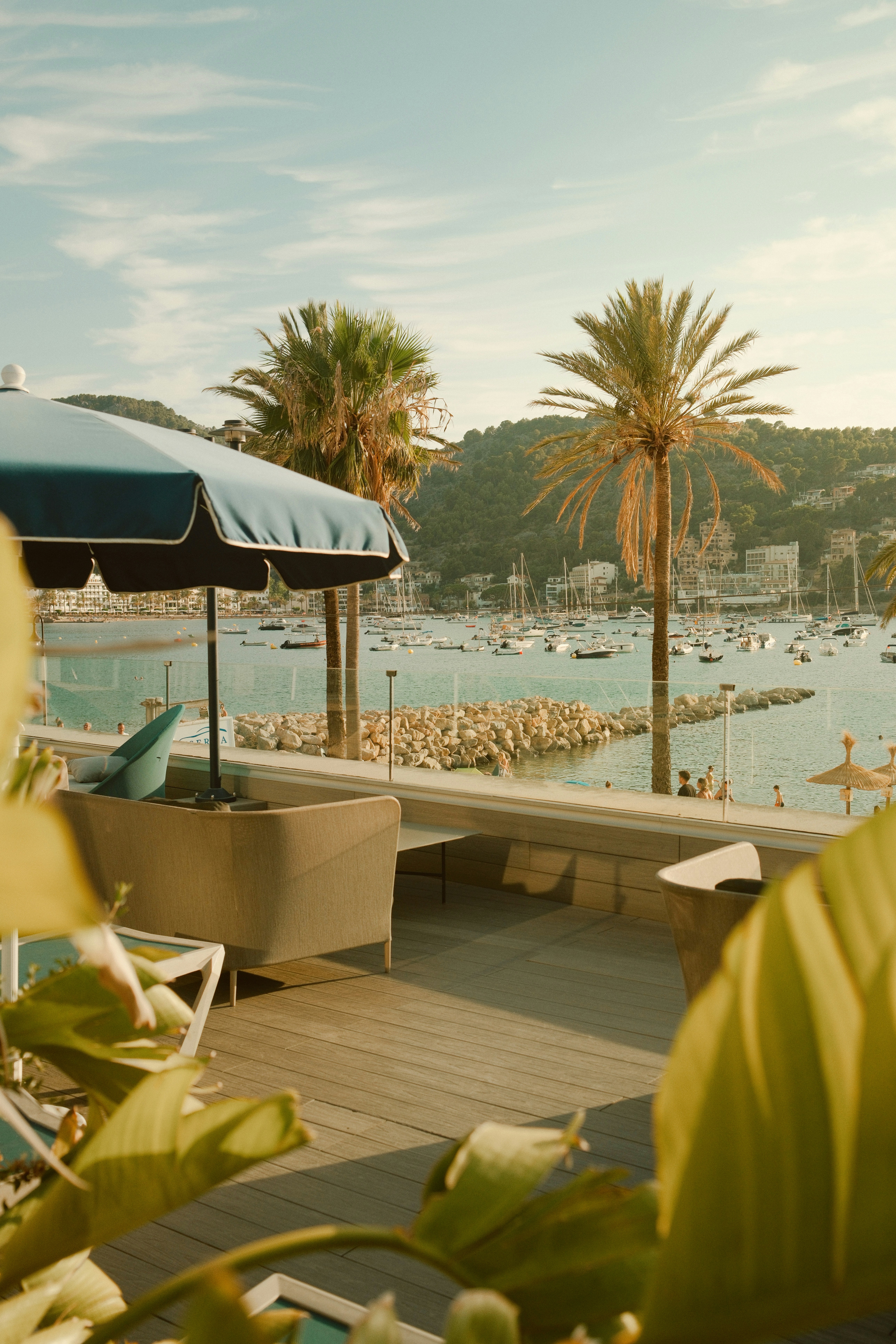 Seaside Terrace: Palm Shadows Over a Quiet Marina