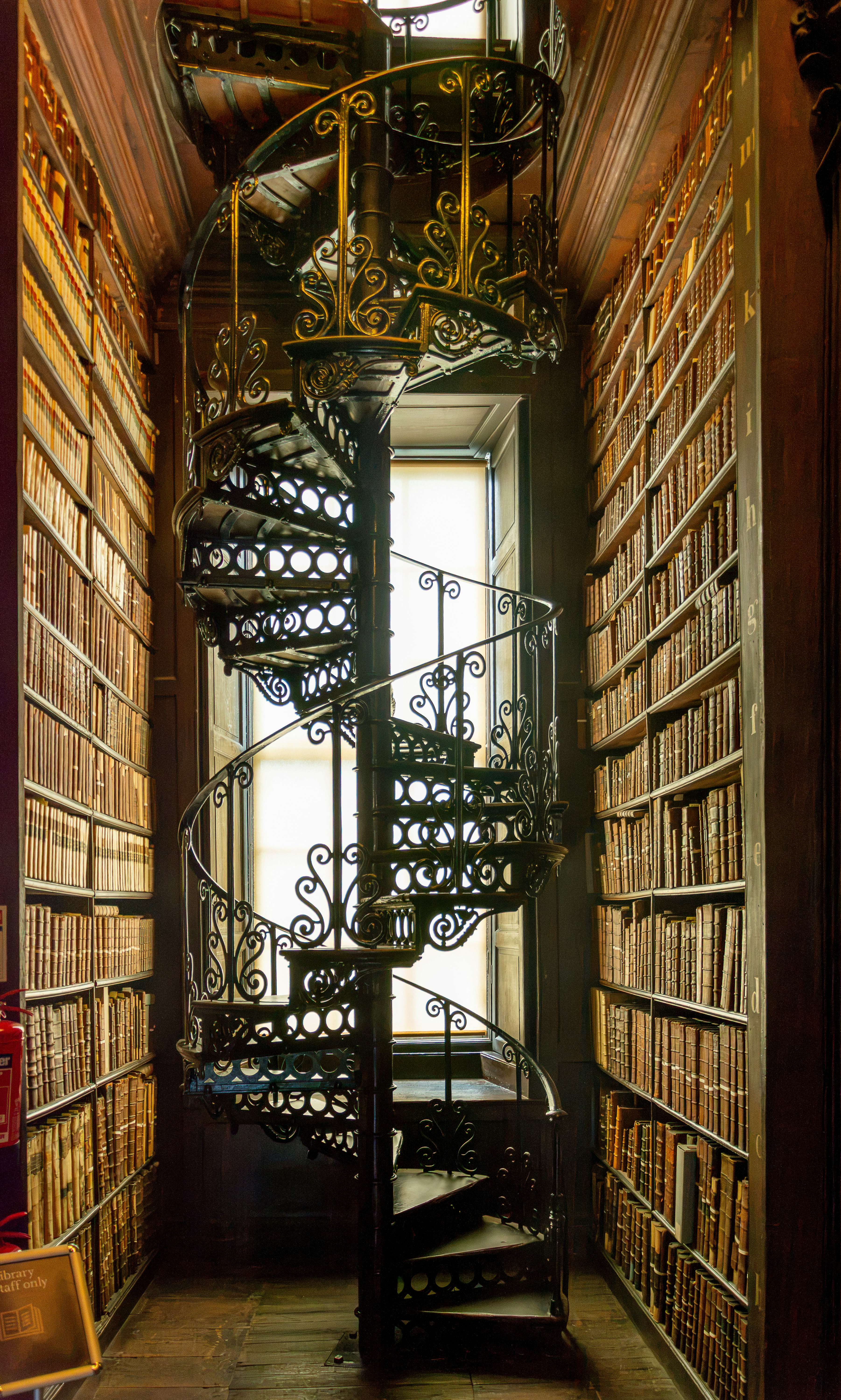 Spiral of Light: A Library’s Winding Heart