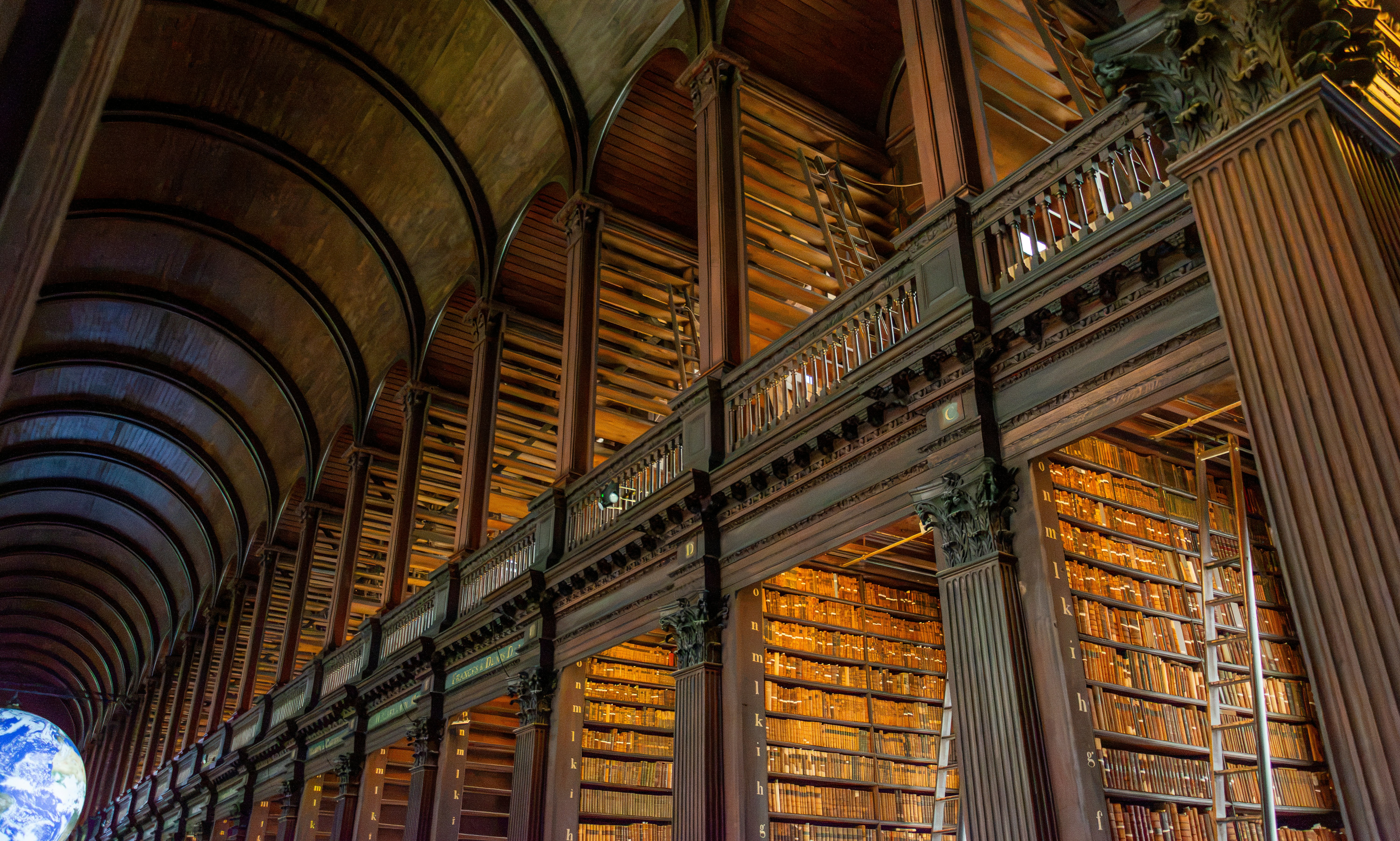 Curved Timber Vaults of a Grand Library Hall