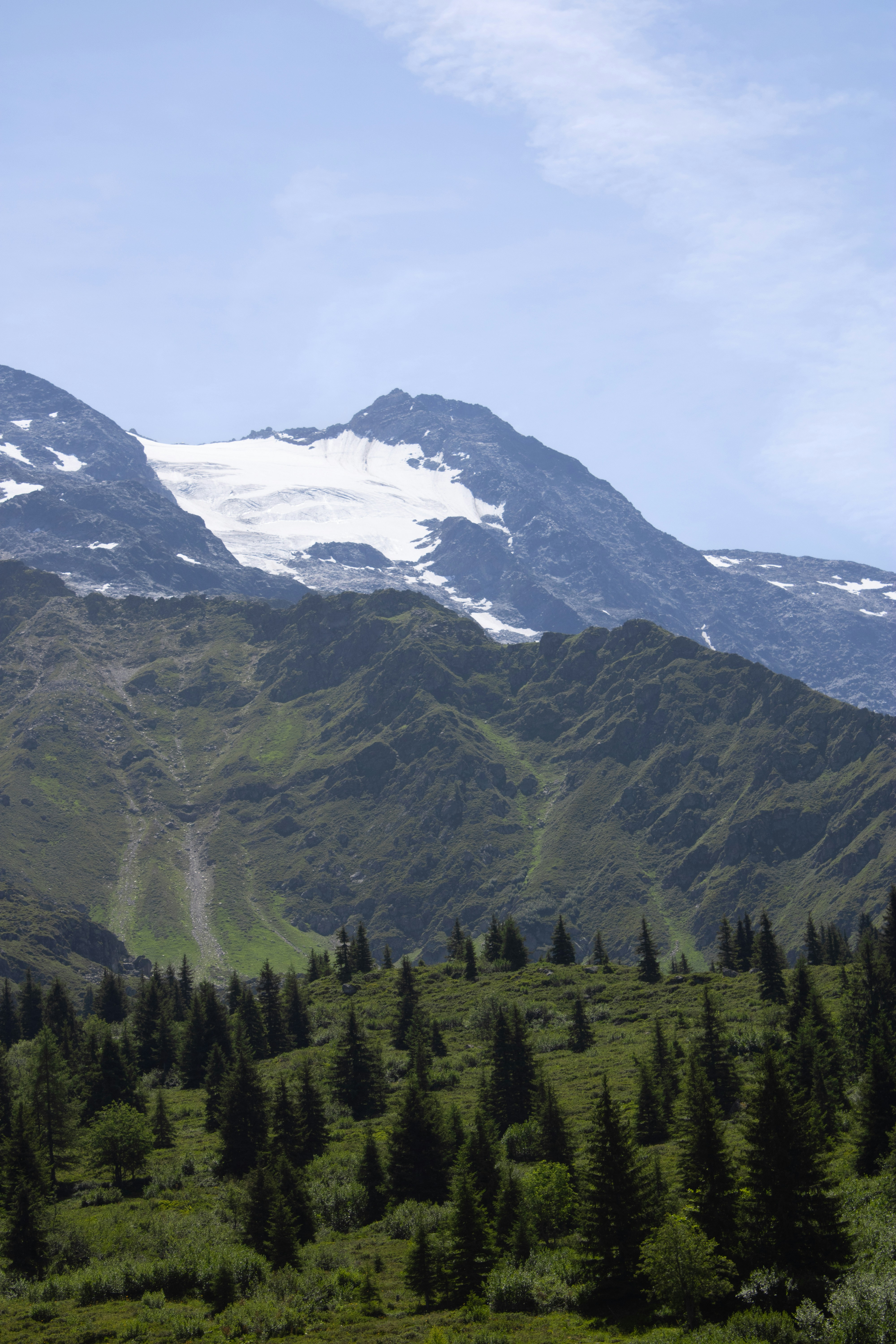 Snowy alpine peak above a green forest valley with scattered evergreens under a clear blue sky. A tranquil mountain landscape emphasizing vertical scale and natural textures.