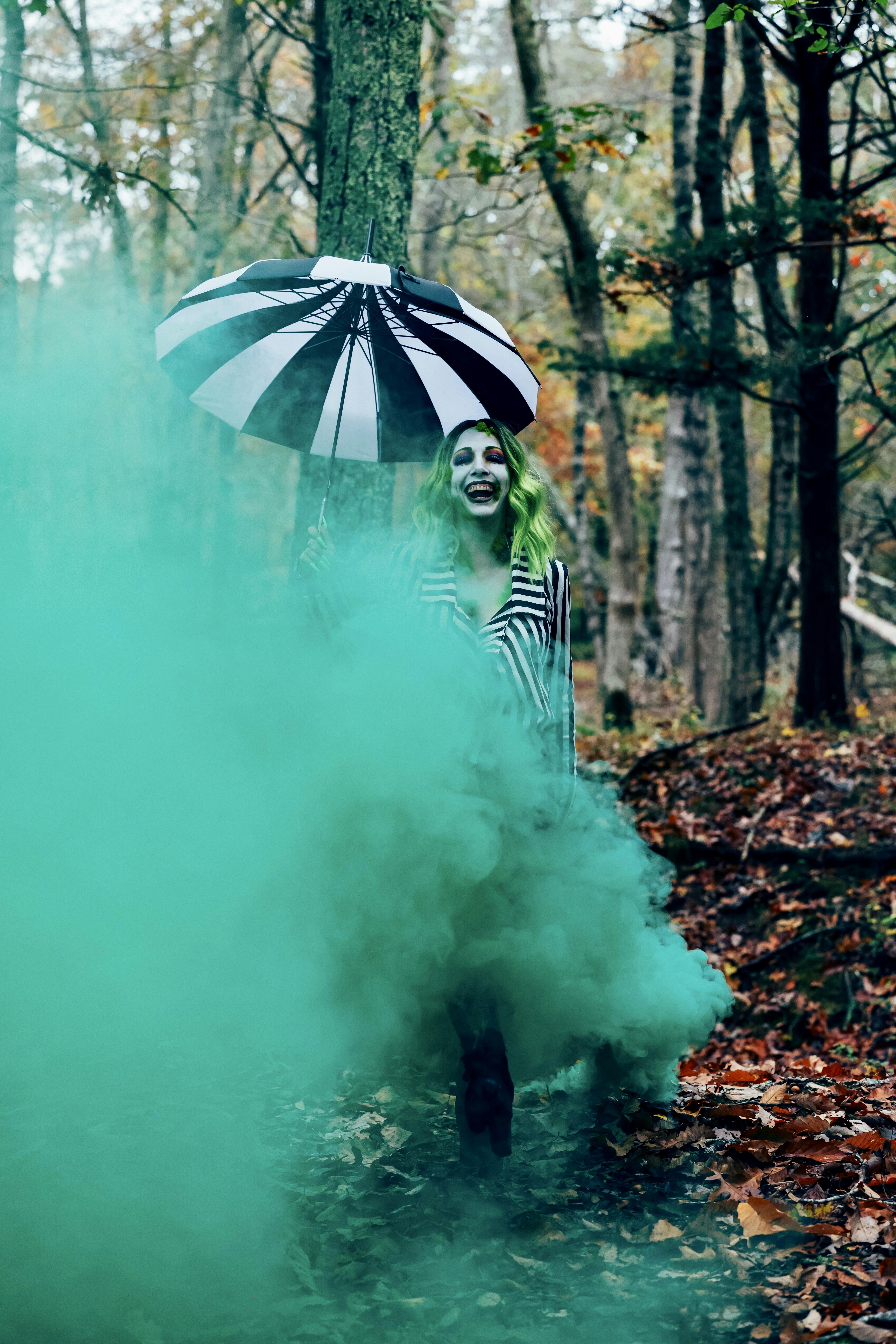Emerald Fog and Striped Mystery in the Woods