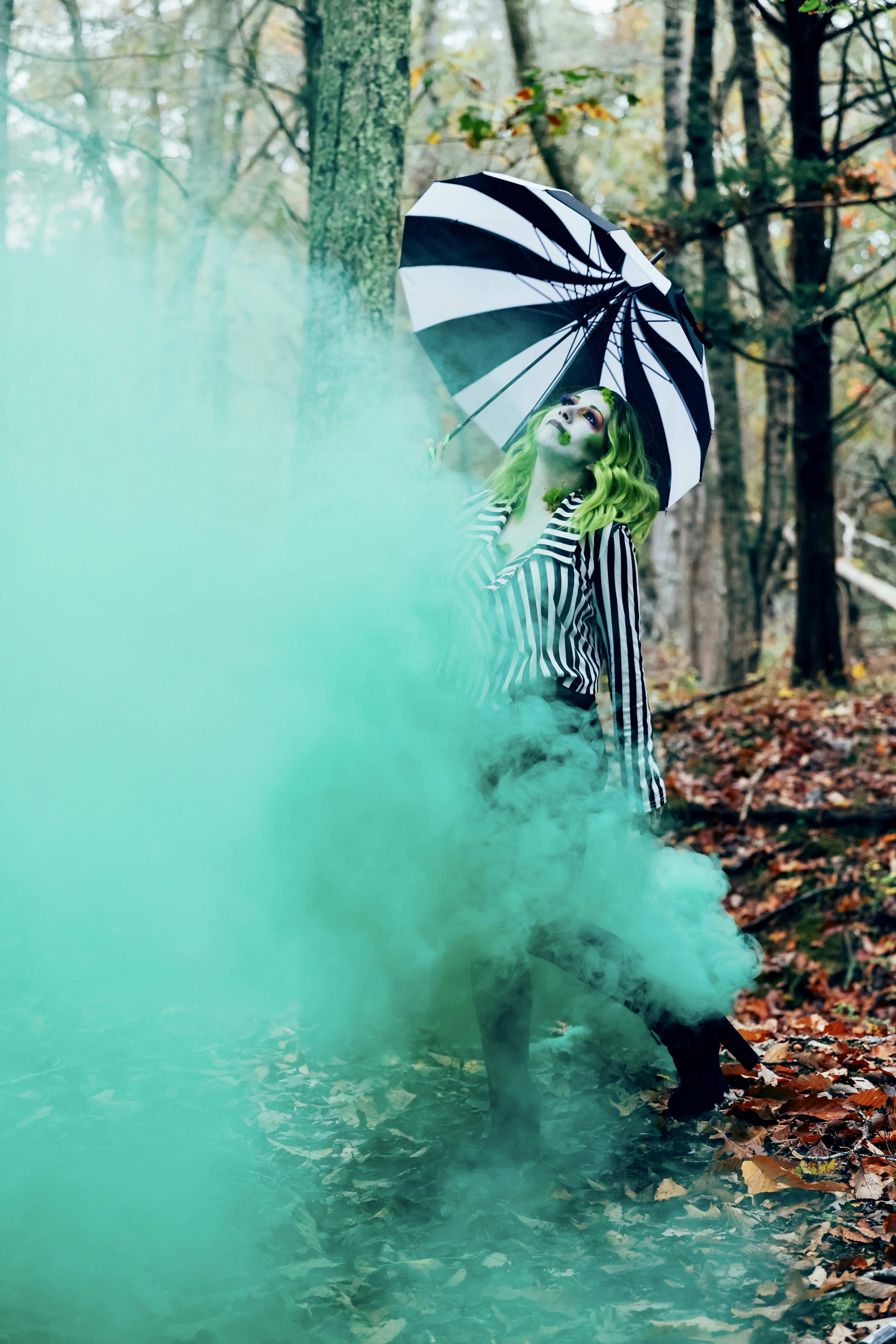 Green Mist, Black and White Stripes: Portrait in a Forest of Smoke