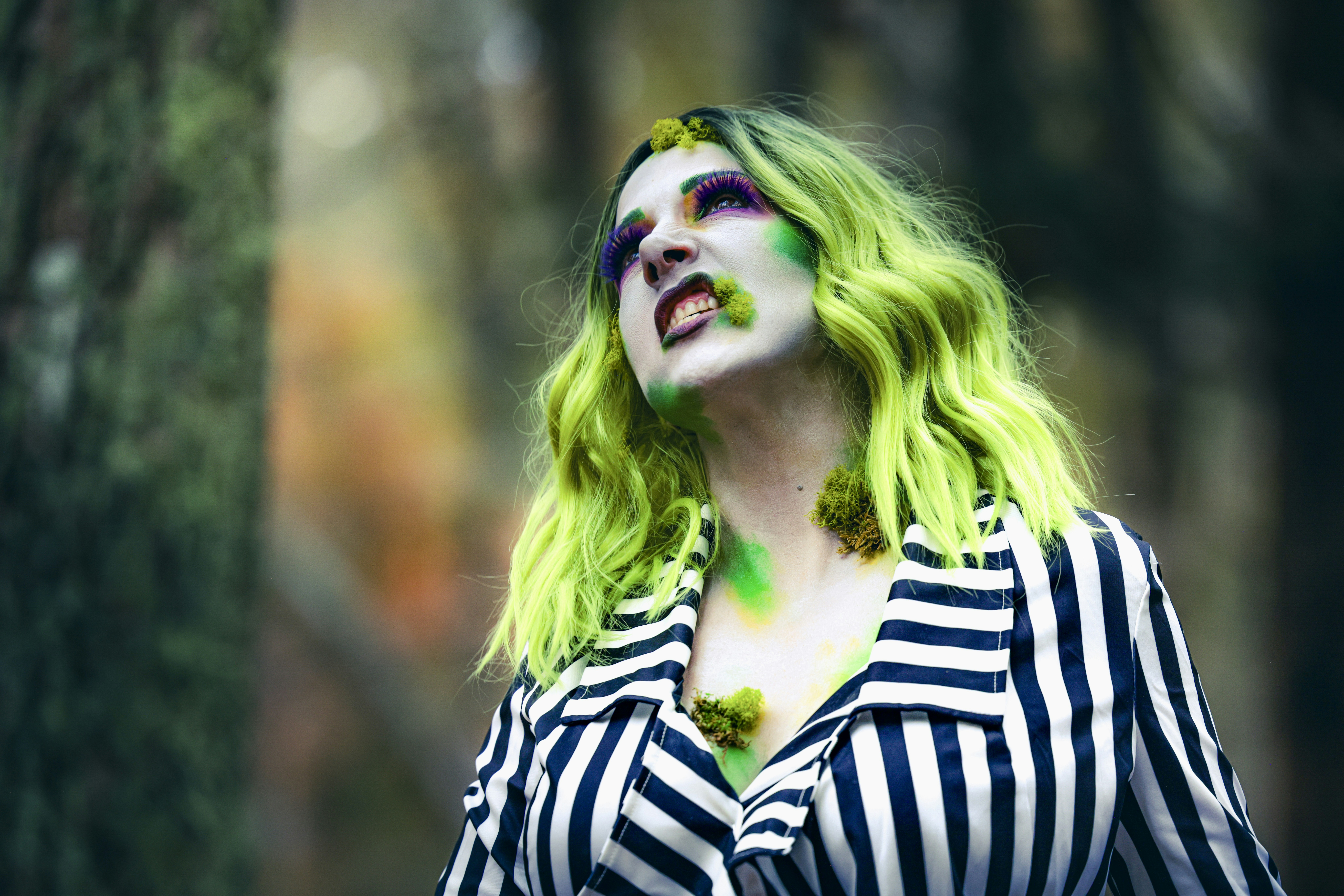 Vivid Carnival in the Pines