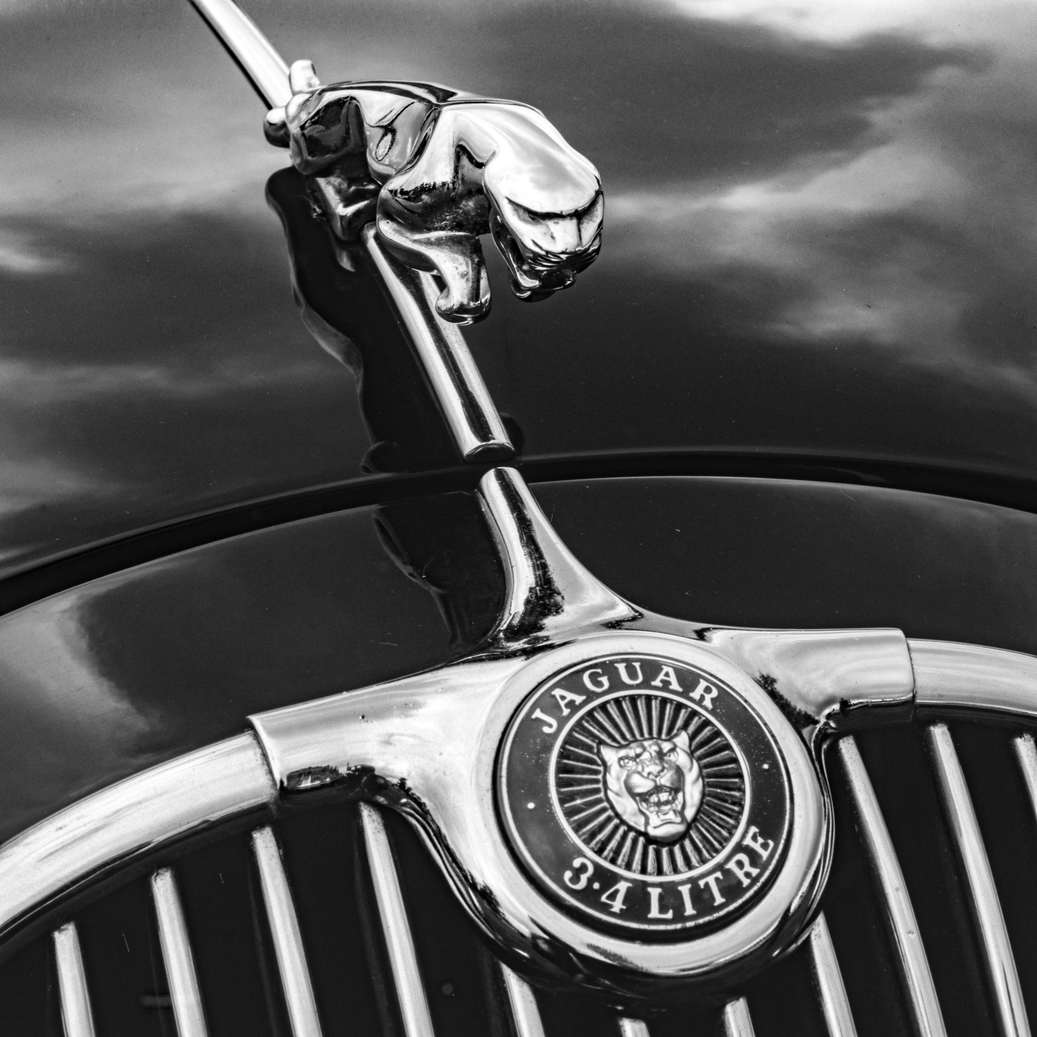 Chrome Crest: The Jaguar Emblem Framed by a Gleaming Hood Ornament