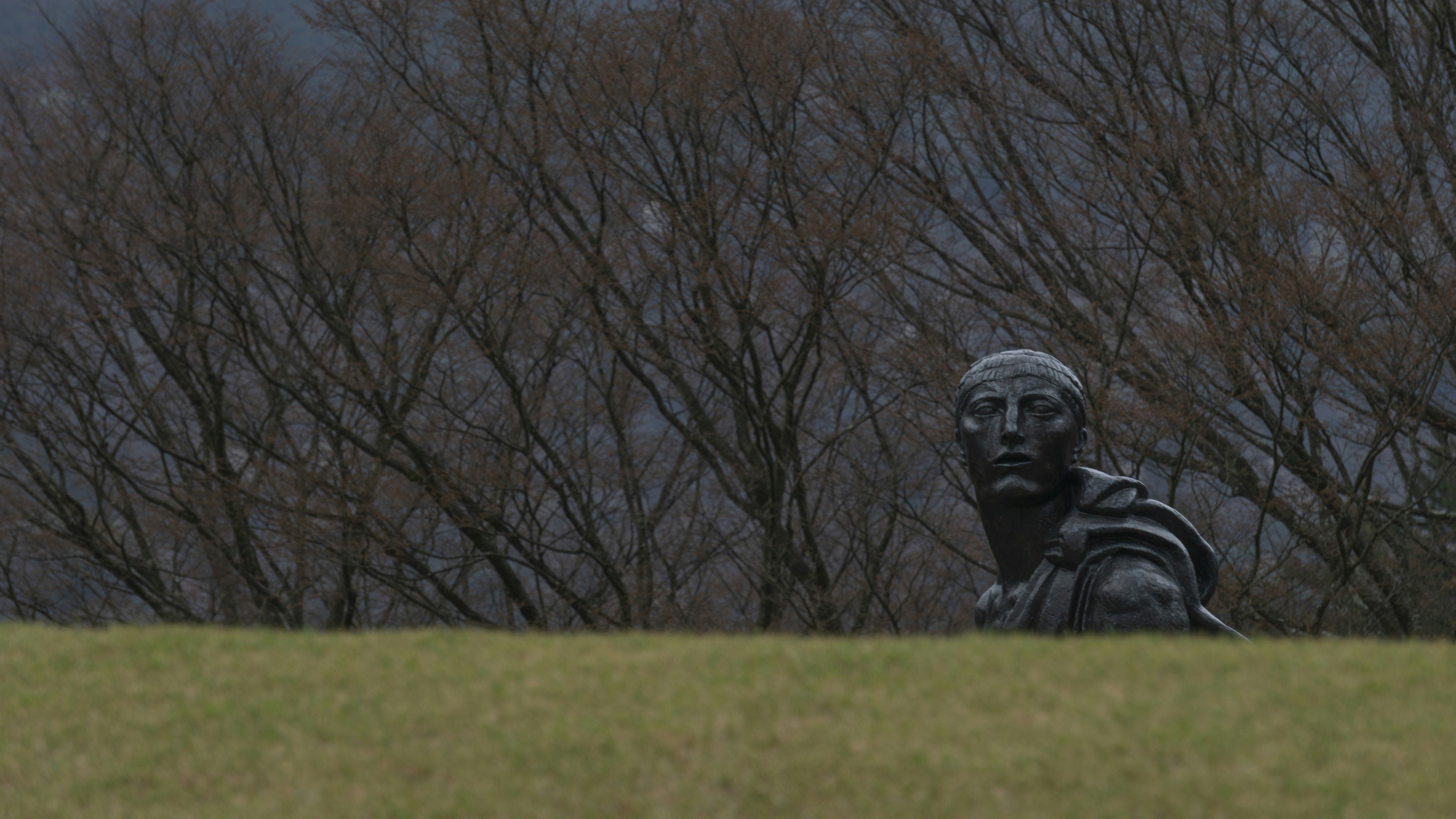 Watchful Silence Over the Lawn