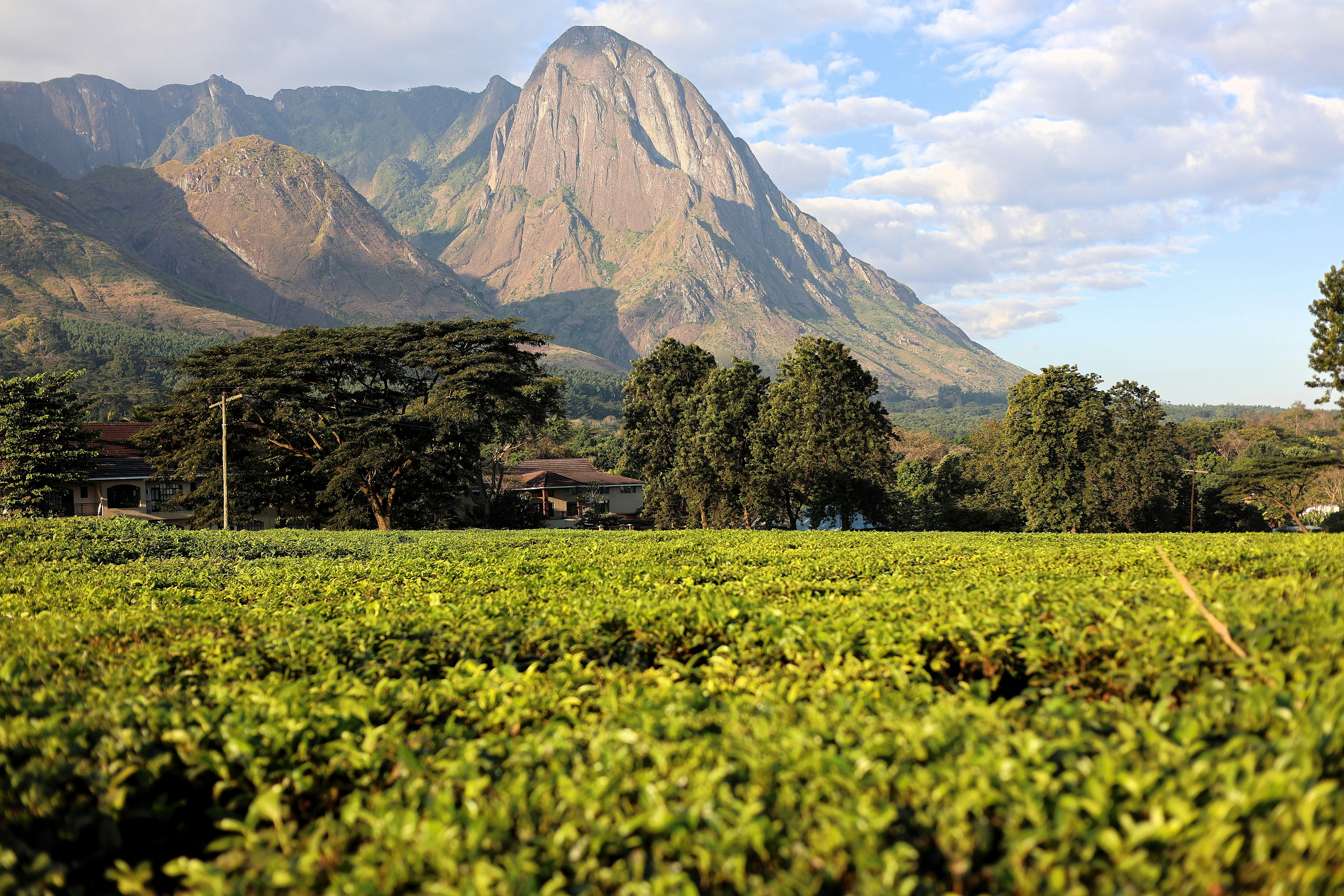 Peak Over Green Fields: A Mountain Backdrop Above a Quiet Farm