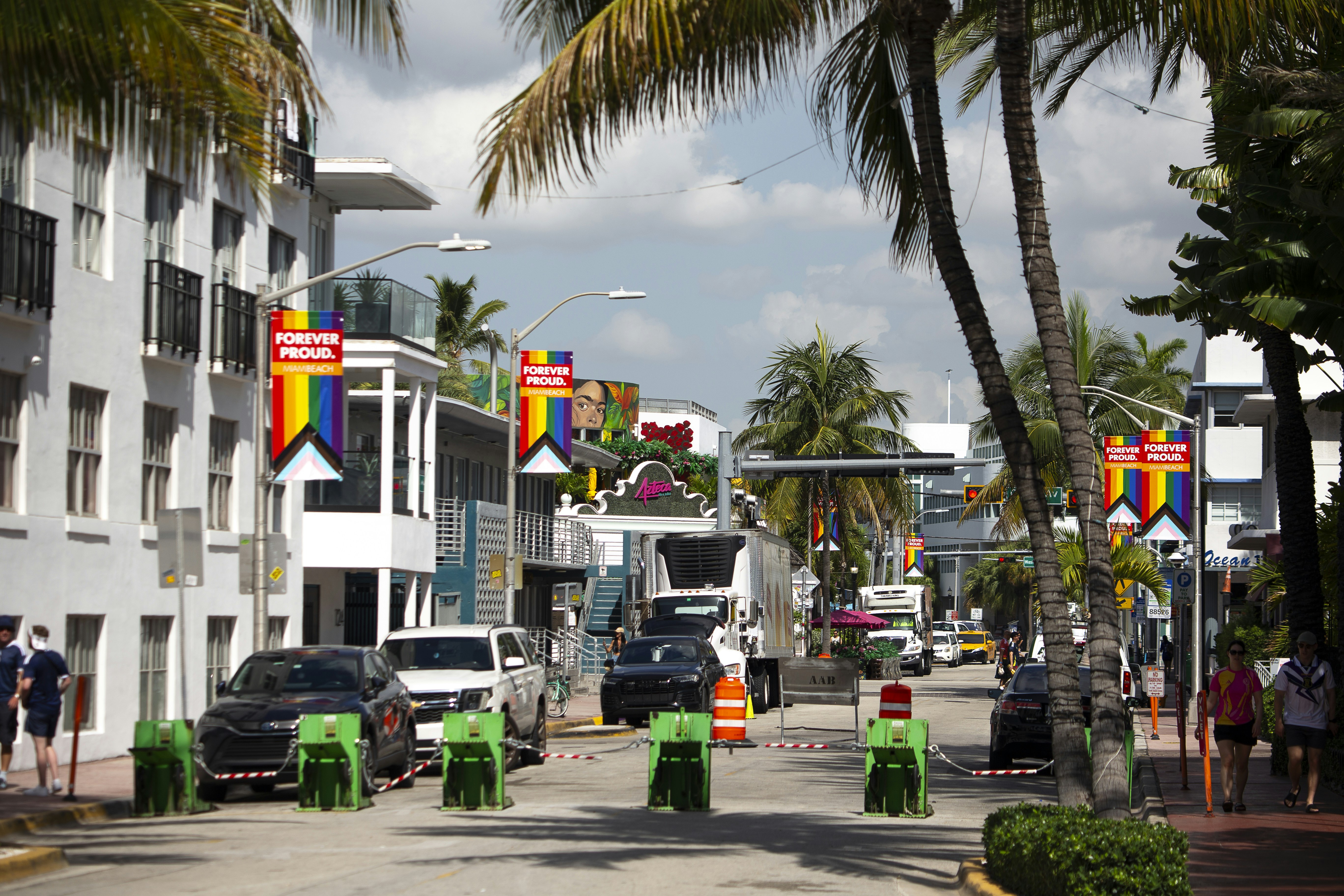 Palm-Shaded Street in a Cheerful Coastal Town