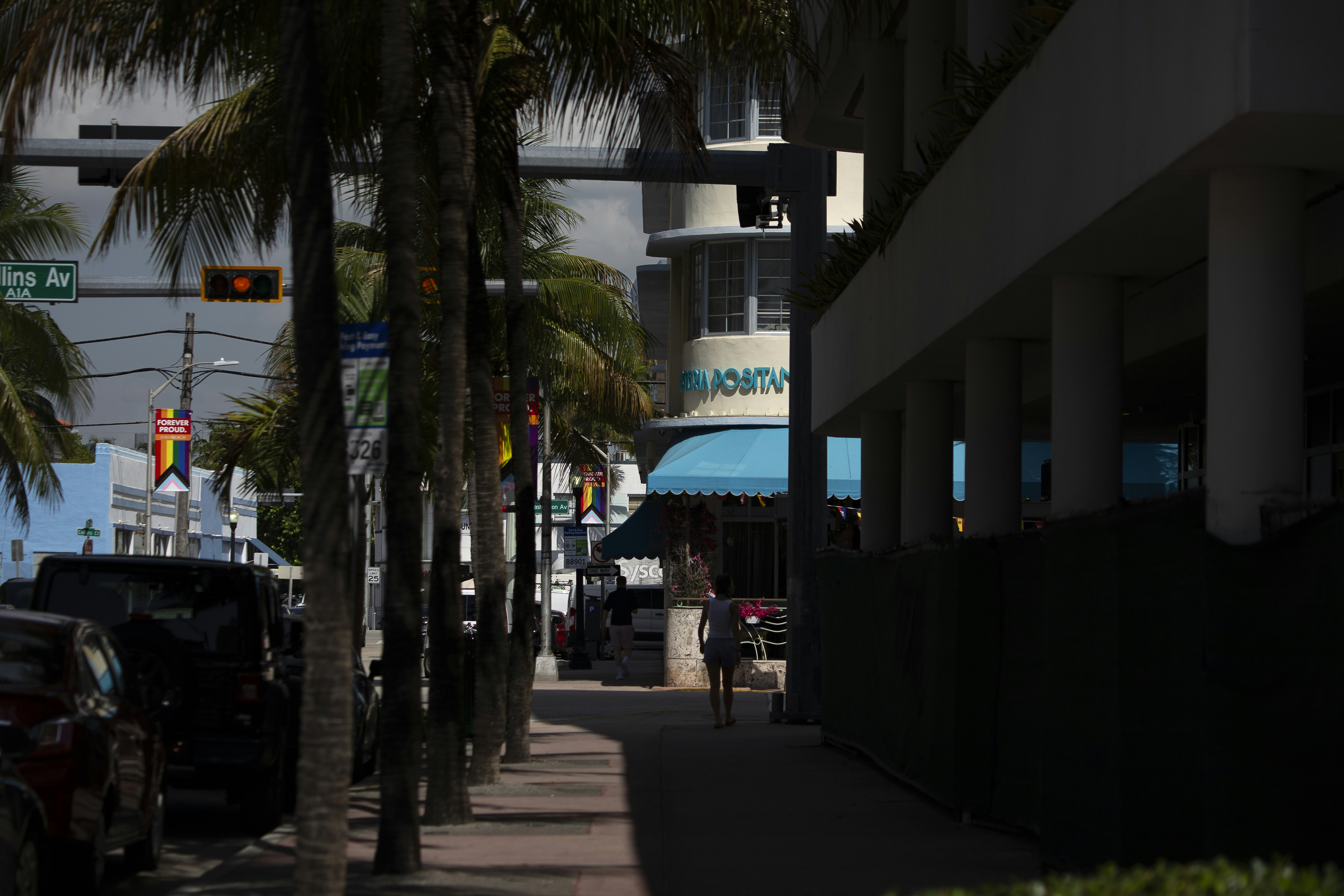 Sunlit Pedestrian Path Under Palm Canopy