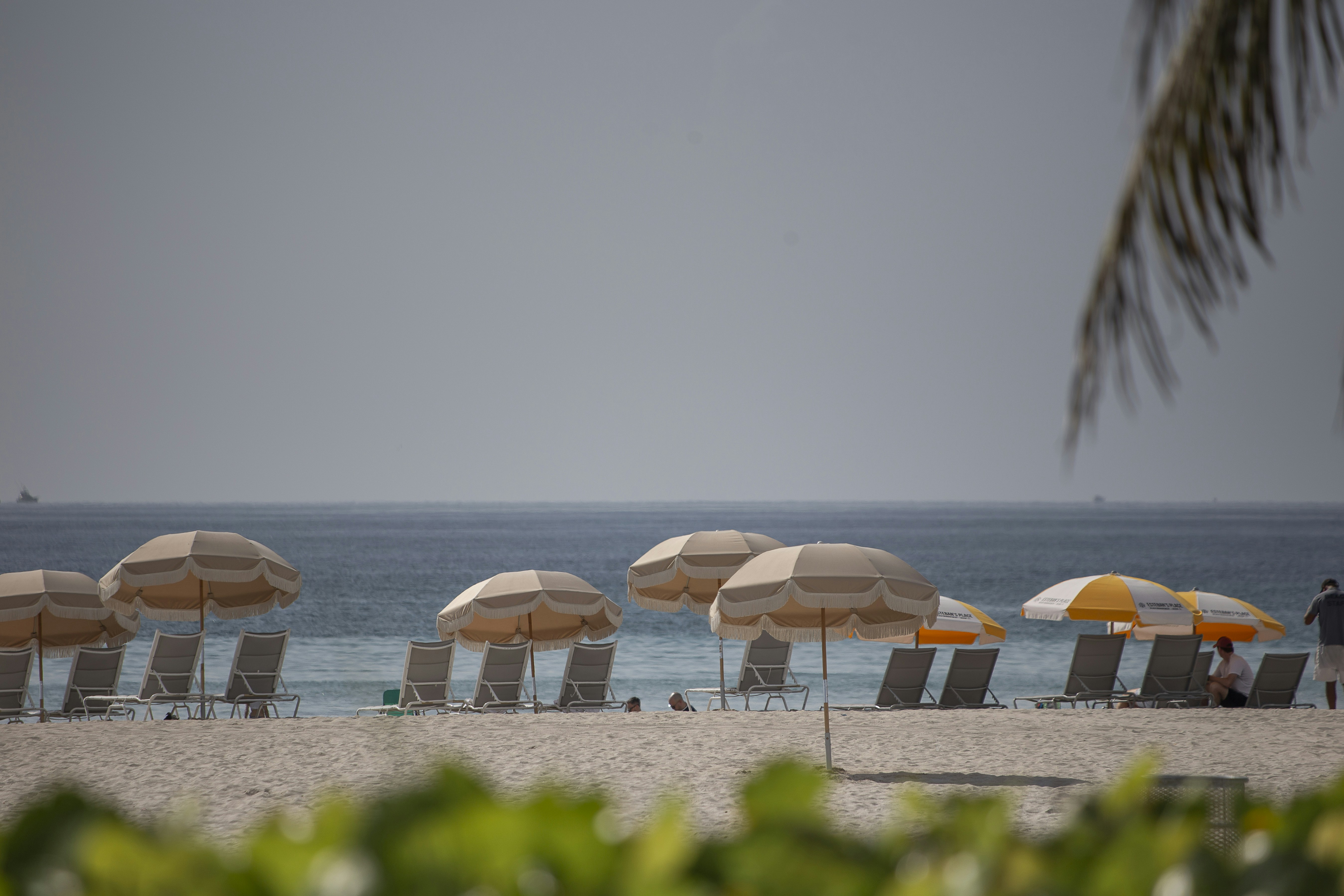 Beach Chairs in Symmetric Shade under Canopy of Umbrellas