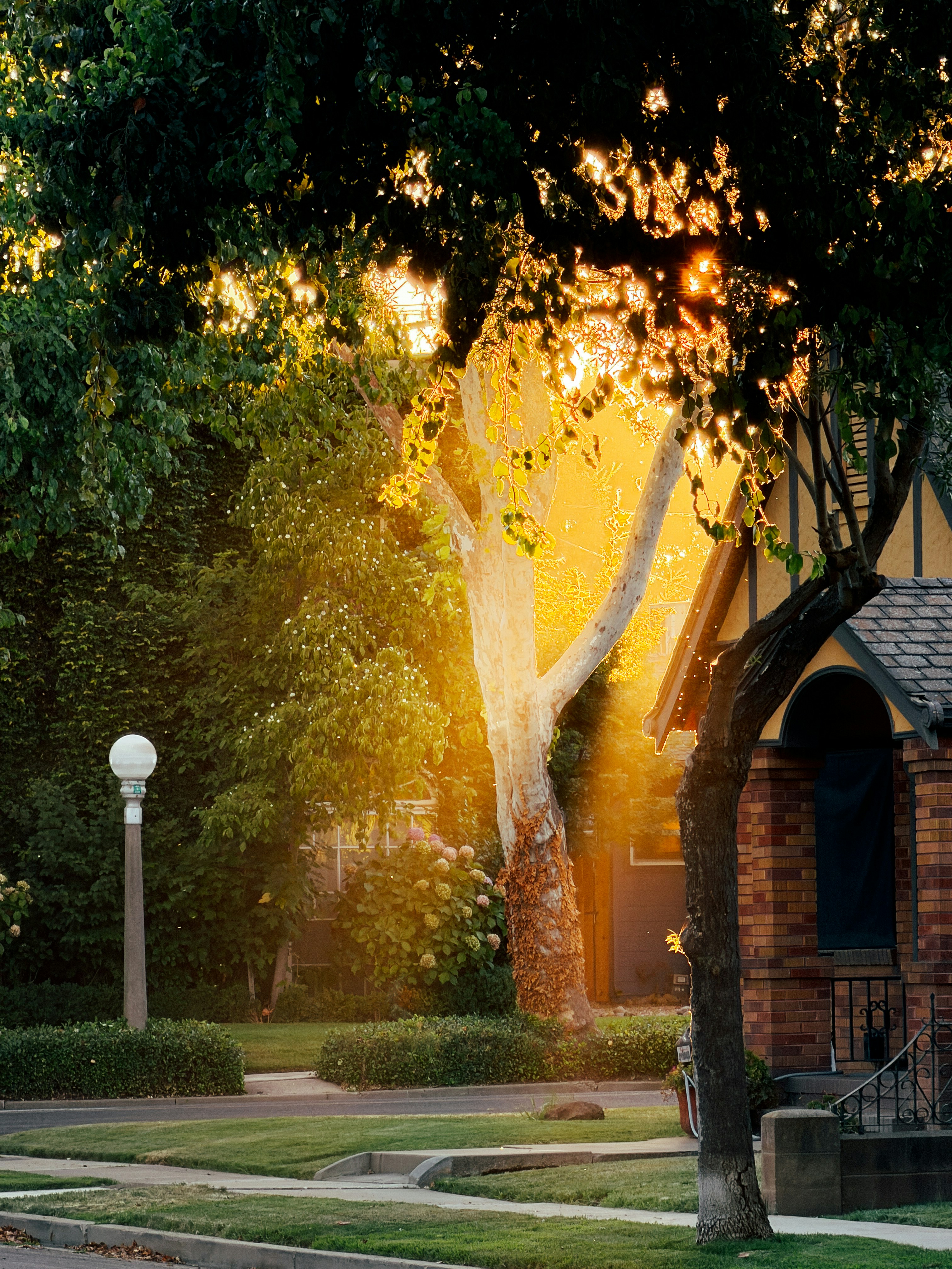 Golden Hour Through a Quiet Suburban Walkway