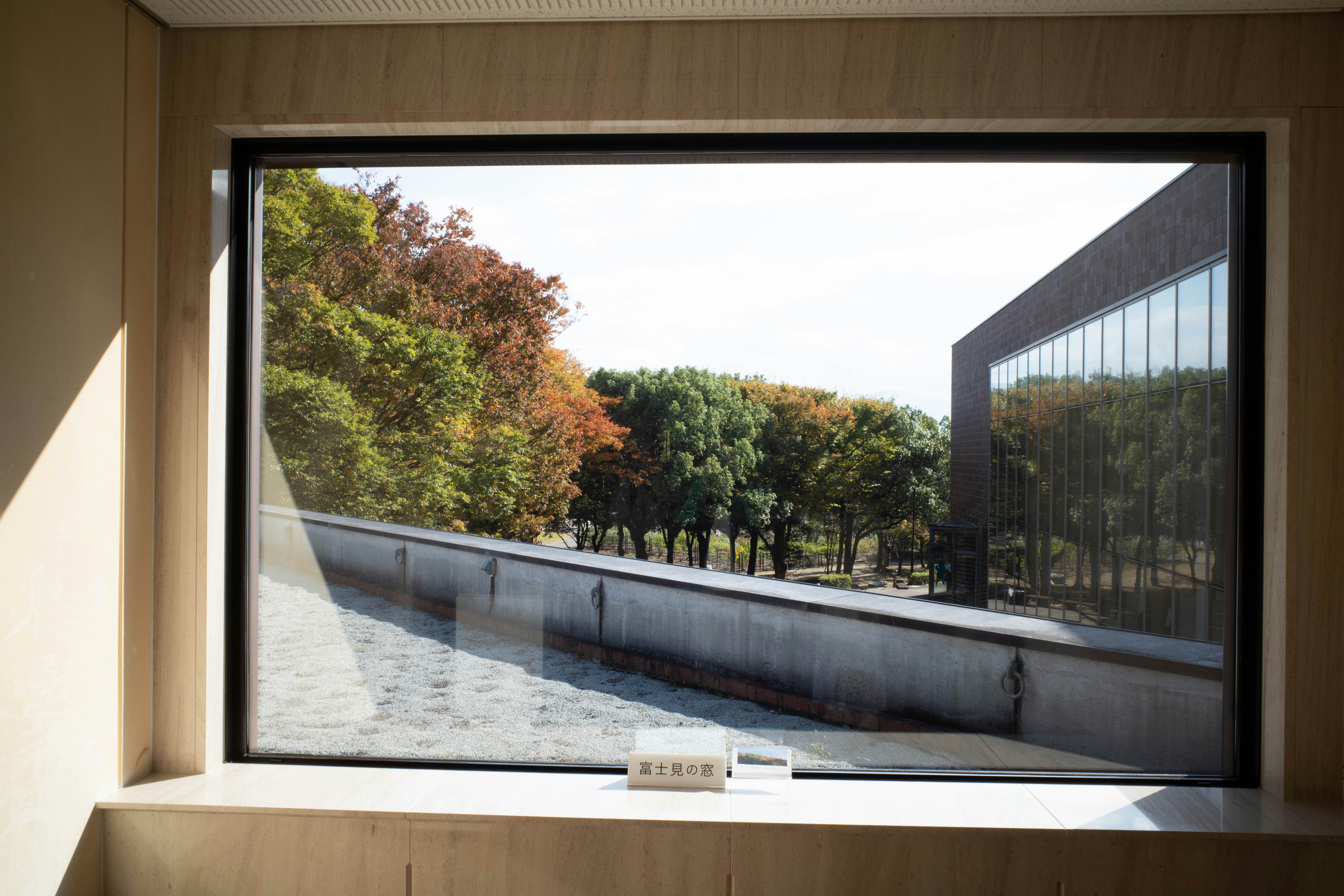 Sunlit campus vista through a modern window