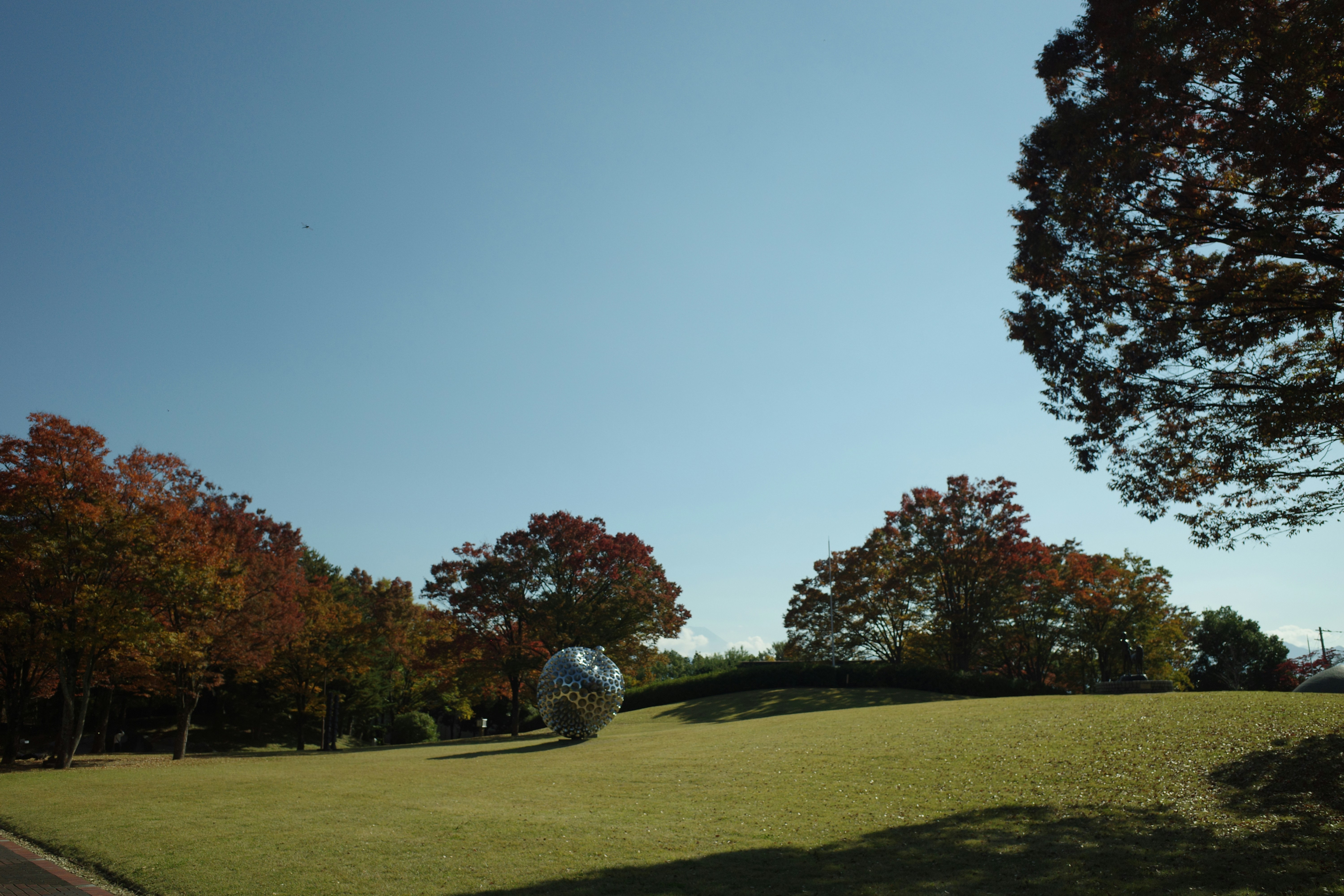 Gleaming Sphere in Autumn Park