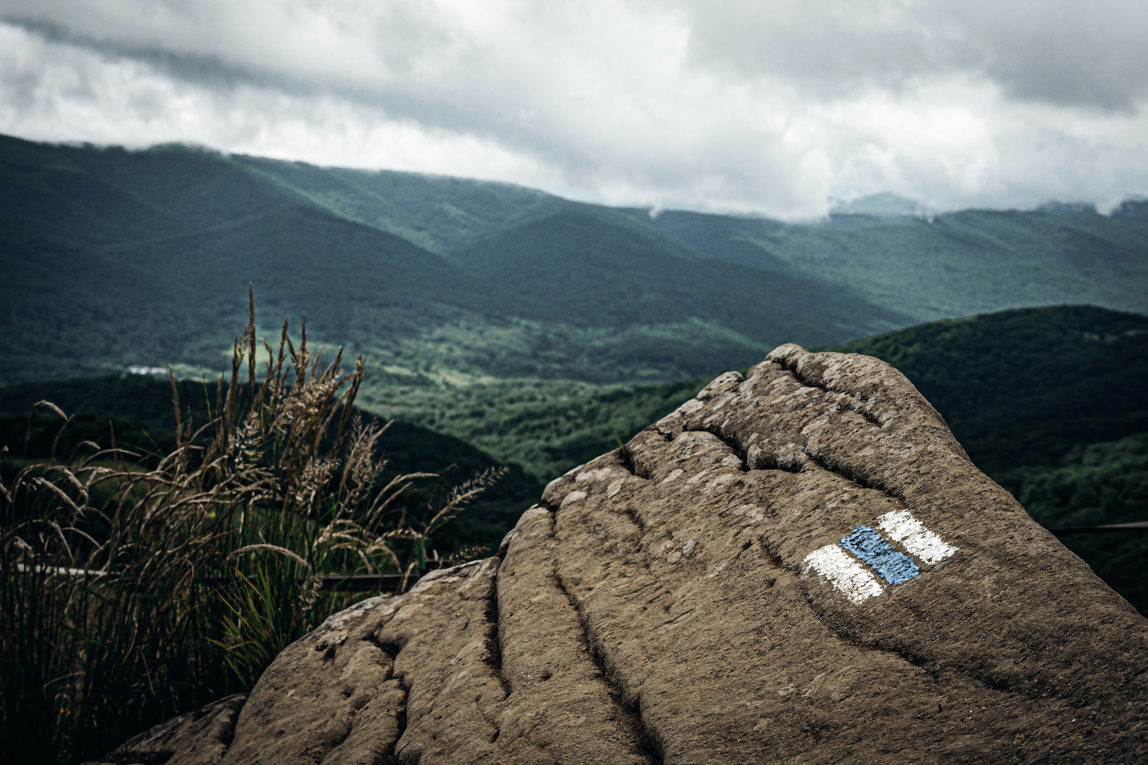 Marked Summit: A Weathered Rock with a Trail Marker Against a Rolling Mountain Vista