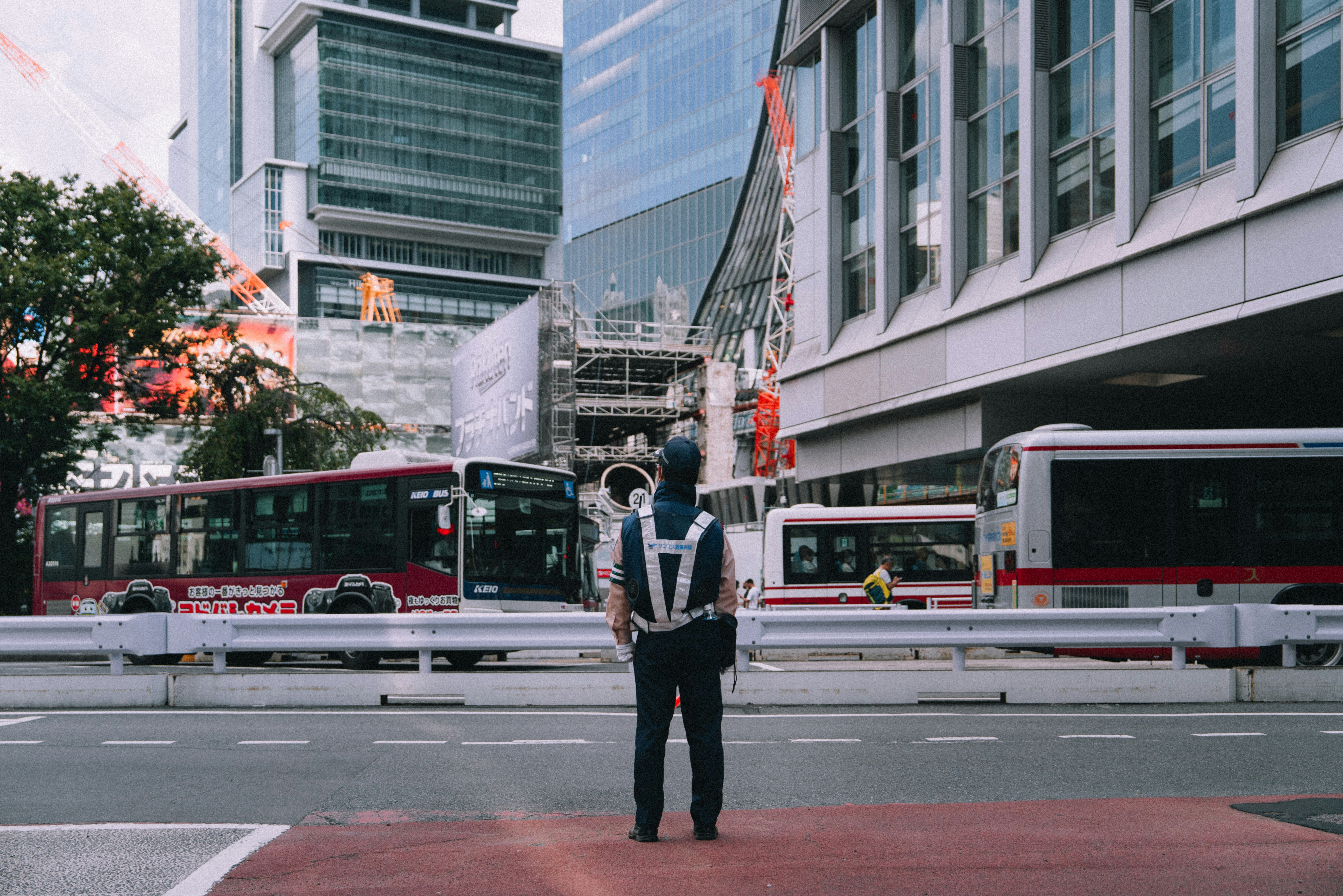 Urban Sentinel in a City Carriage Lane