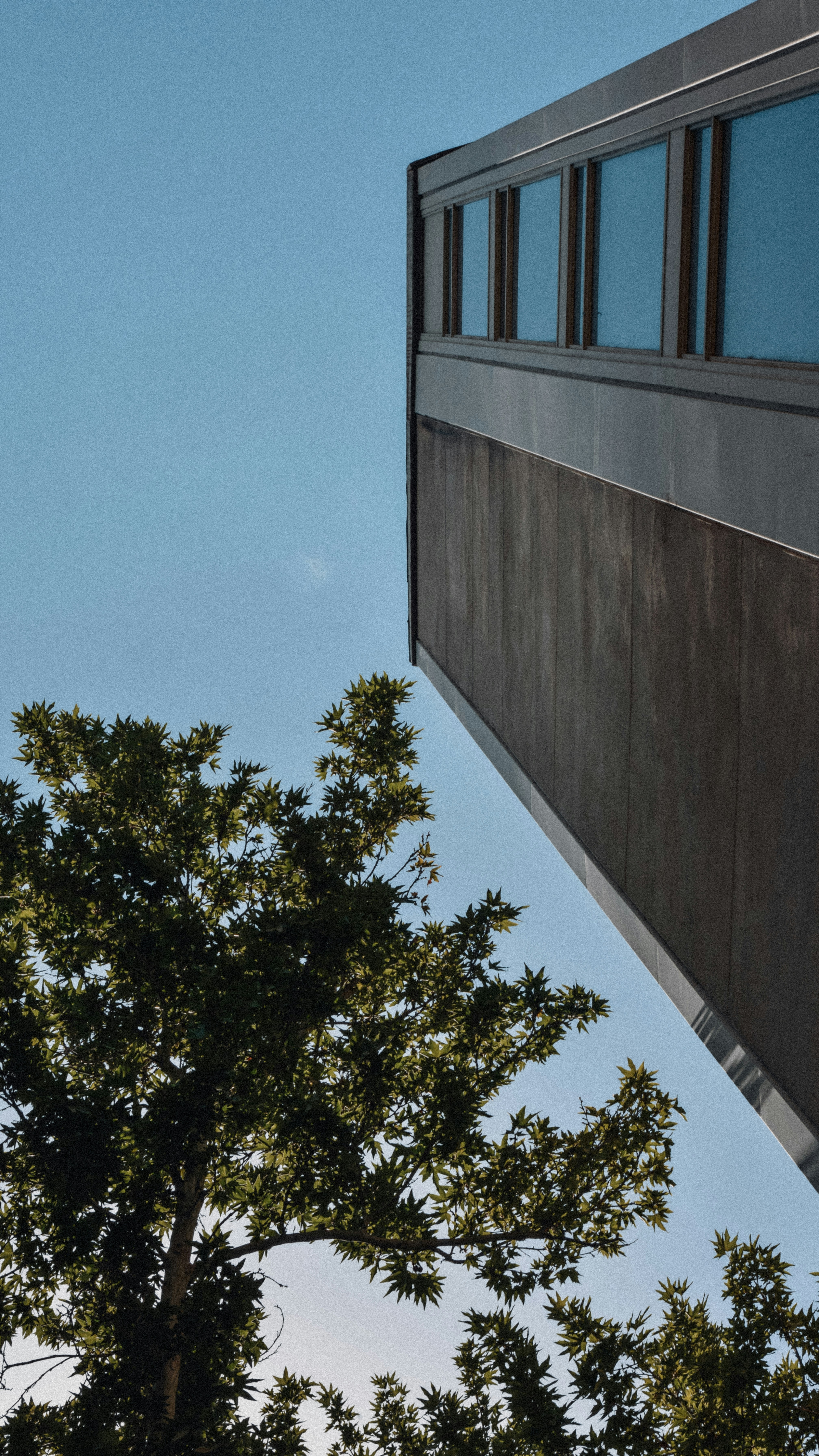 Edge of Sky: A Building Reaches for the Blue