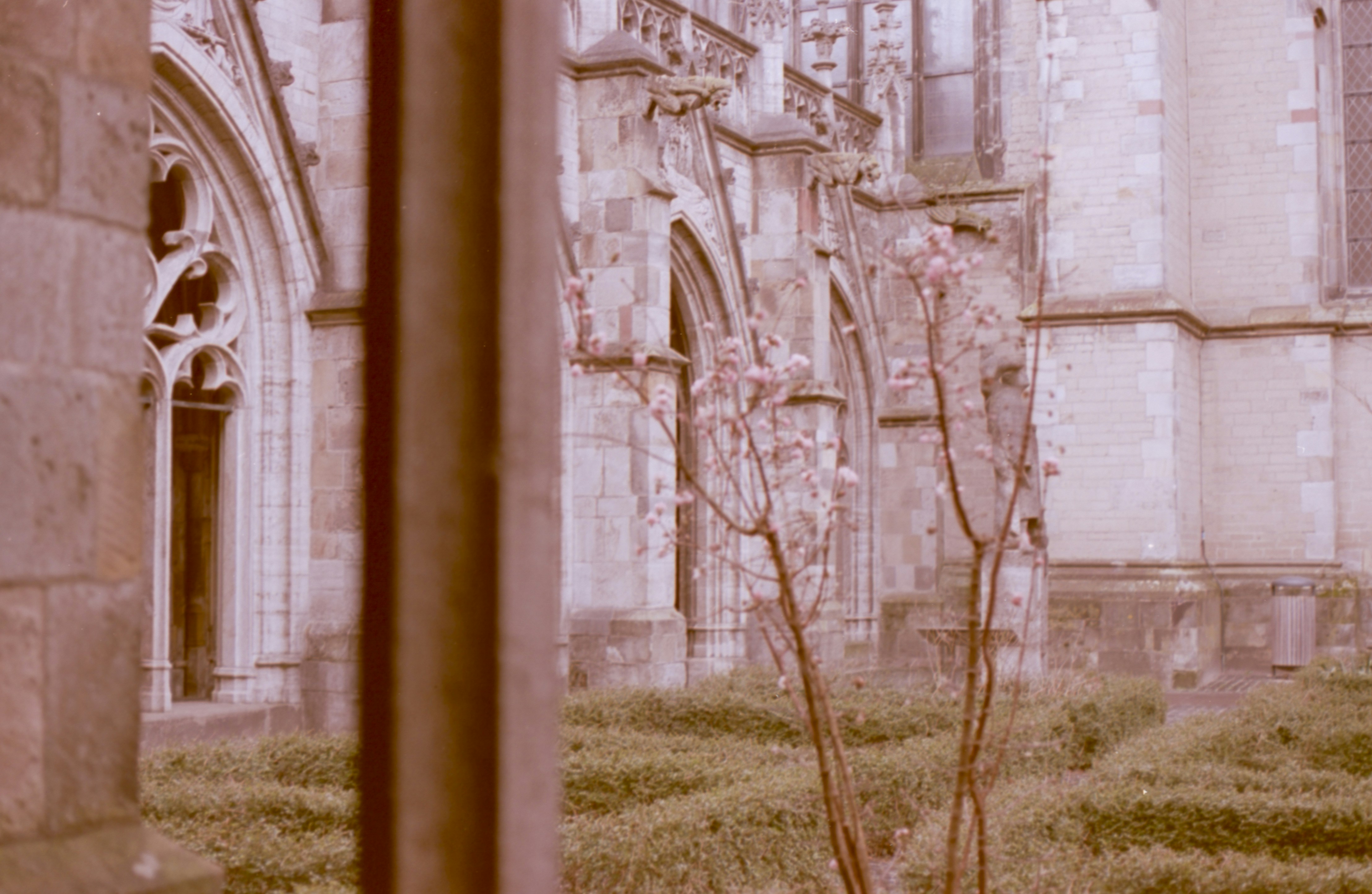 Blurred Abbey Through a Gate: Garden Stones and Arches behind a Barred Window