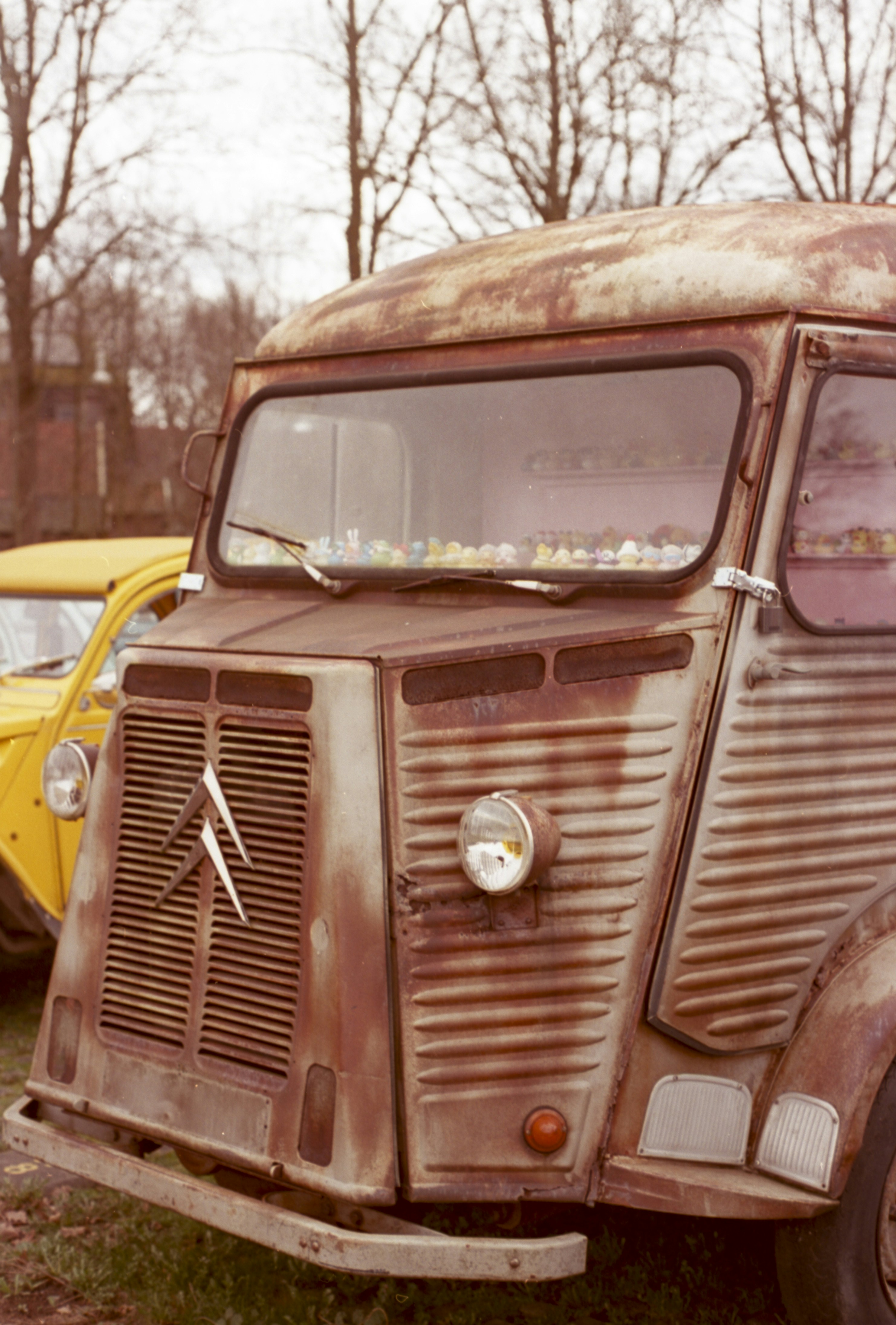 Rust and Reverie: A vintage truck’s chipped chrome gaze
