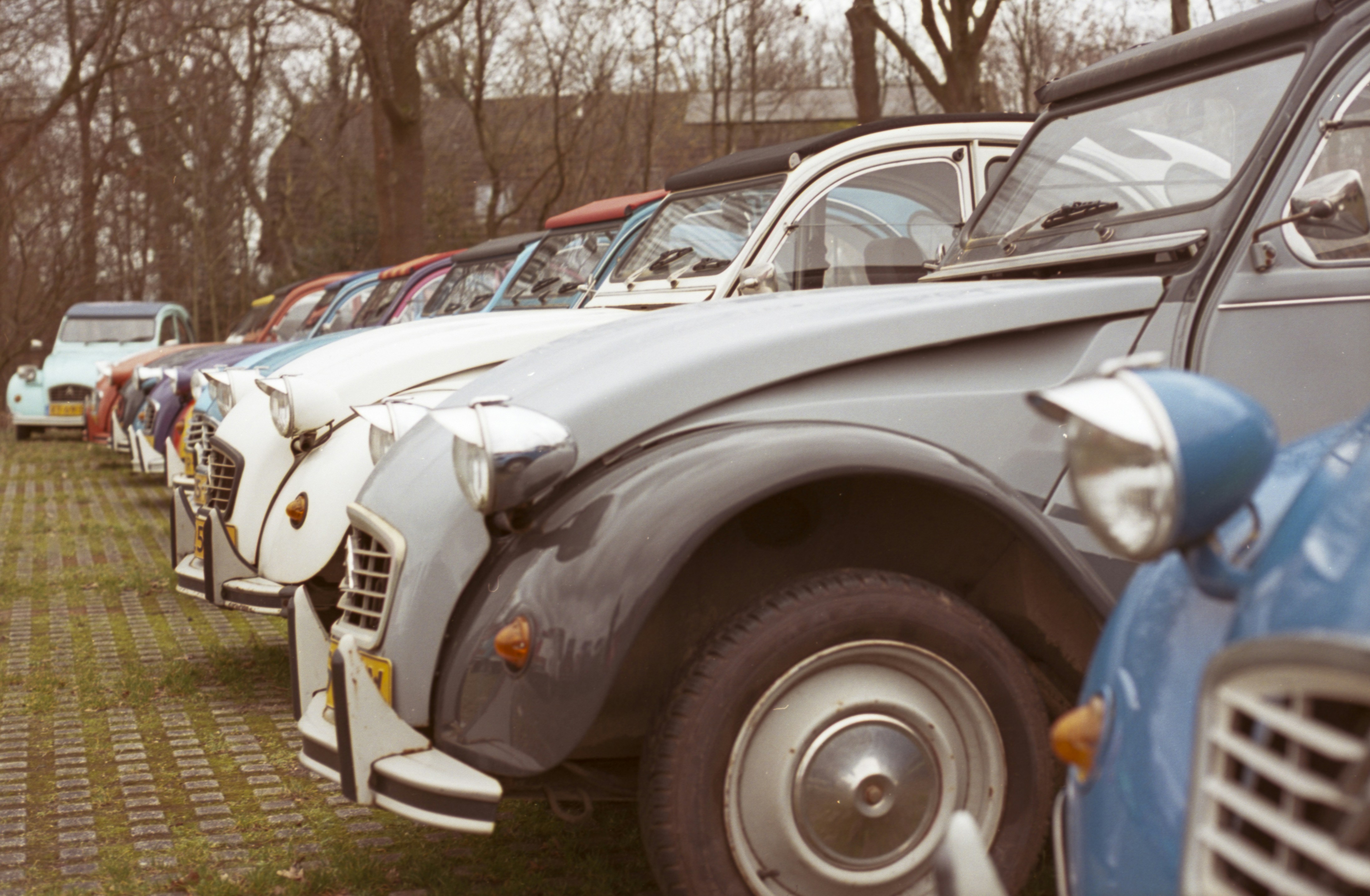 A line of vintage cars parked in a lot, taken from a low-angle, highlighting the front ends and rounded grilles.