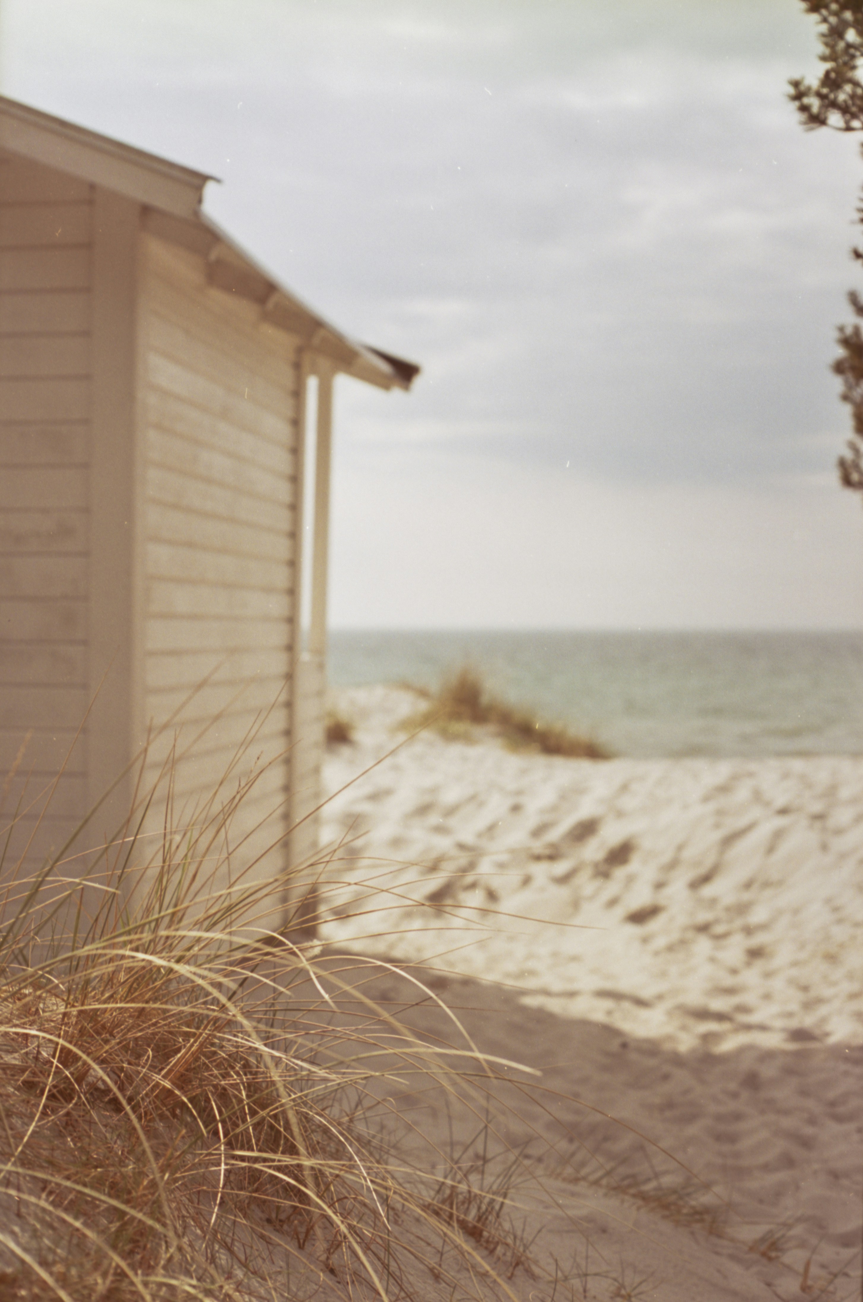 A white beach hut by sandy dunes and the ocean.