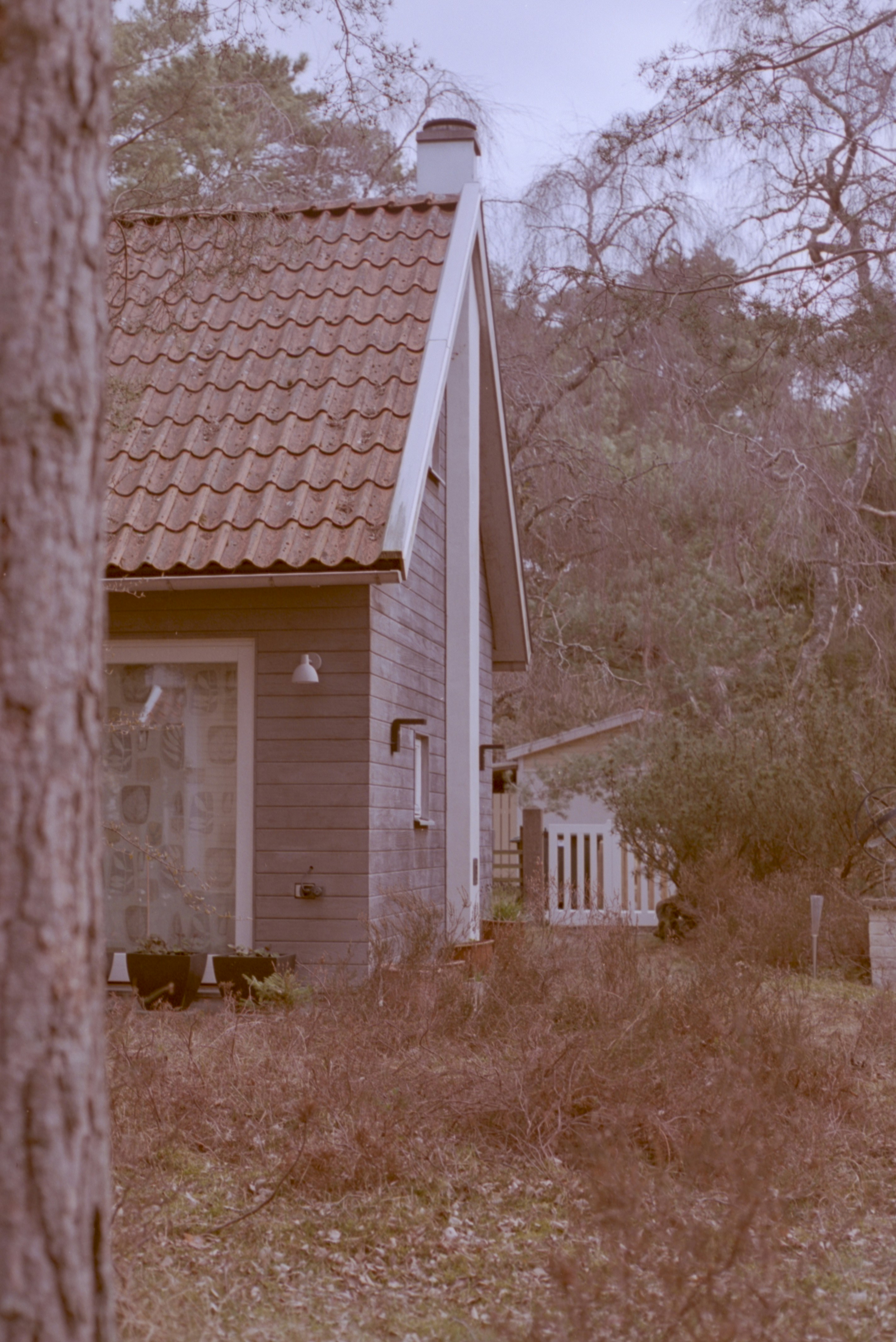 Warm Cottage Perimeter: A Quiet Garden Corner