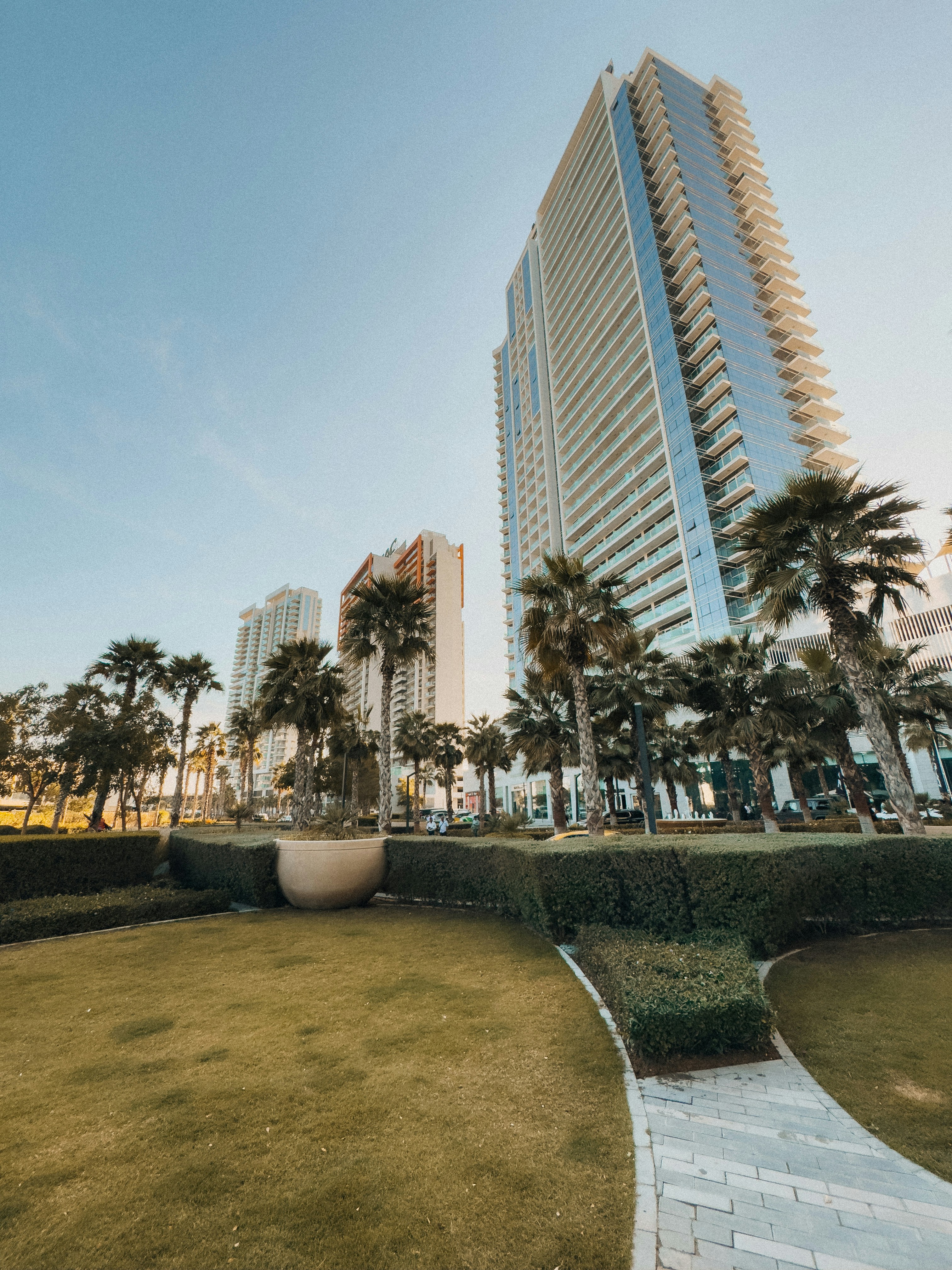 Manicured lawns and hedges lead toward tall residential towers framed by fan palms in the late afternoon light.