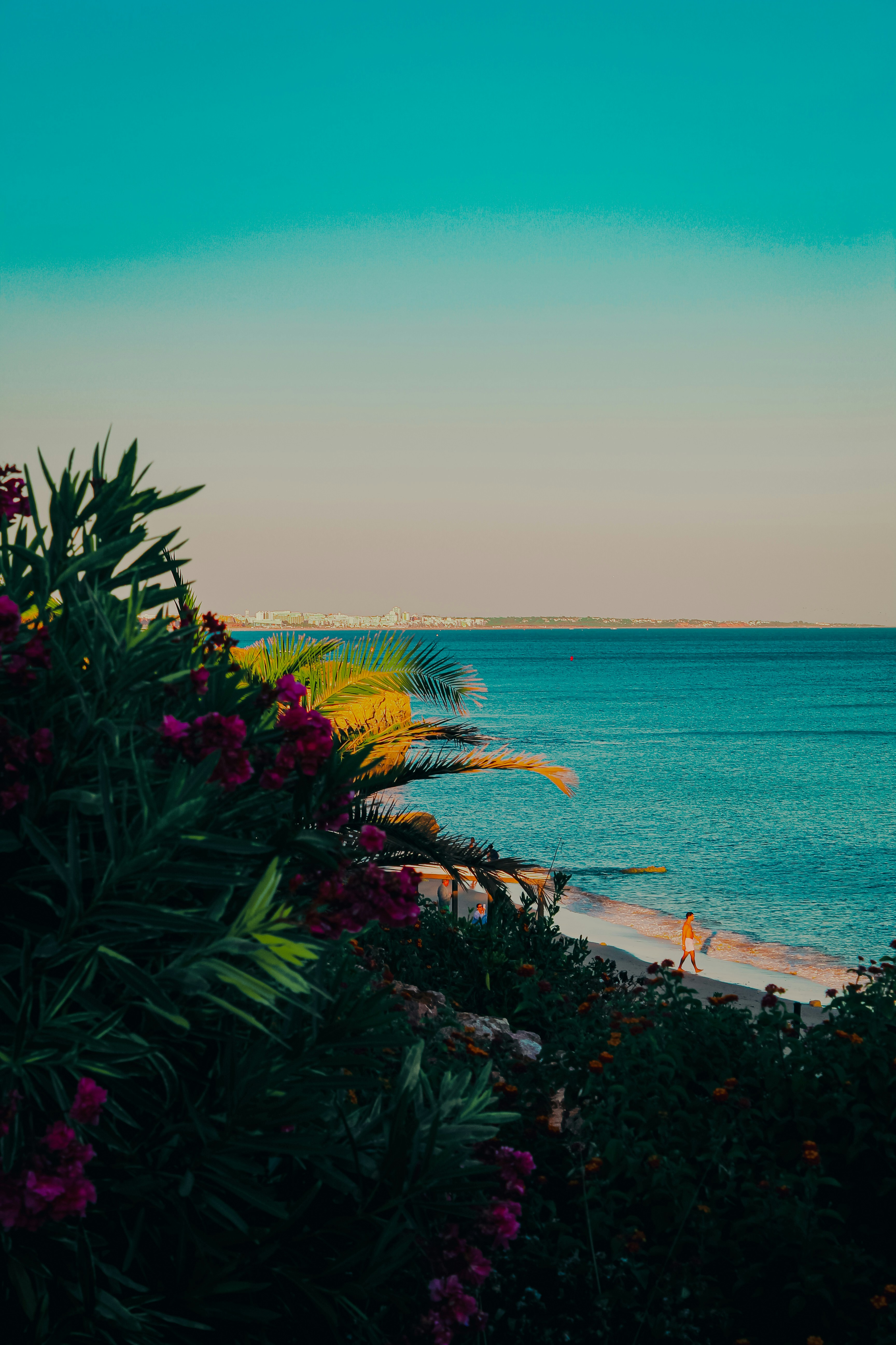 Sea Breeze Between Flaming Foliage