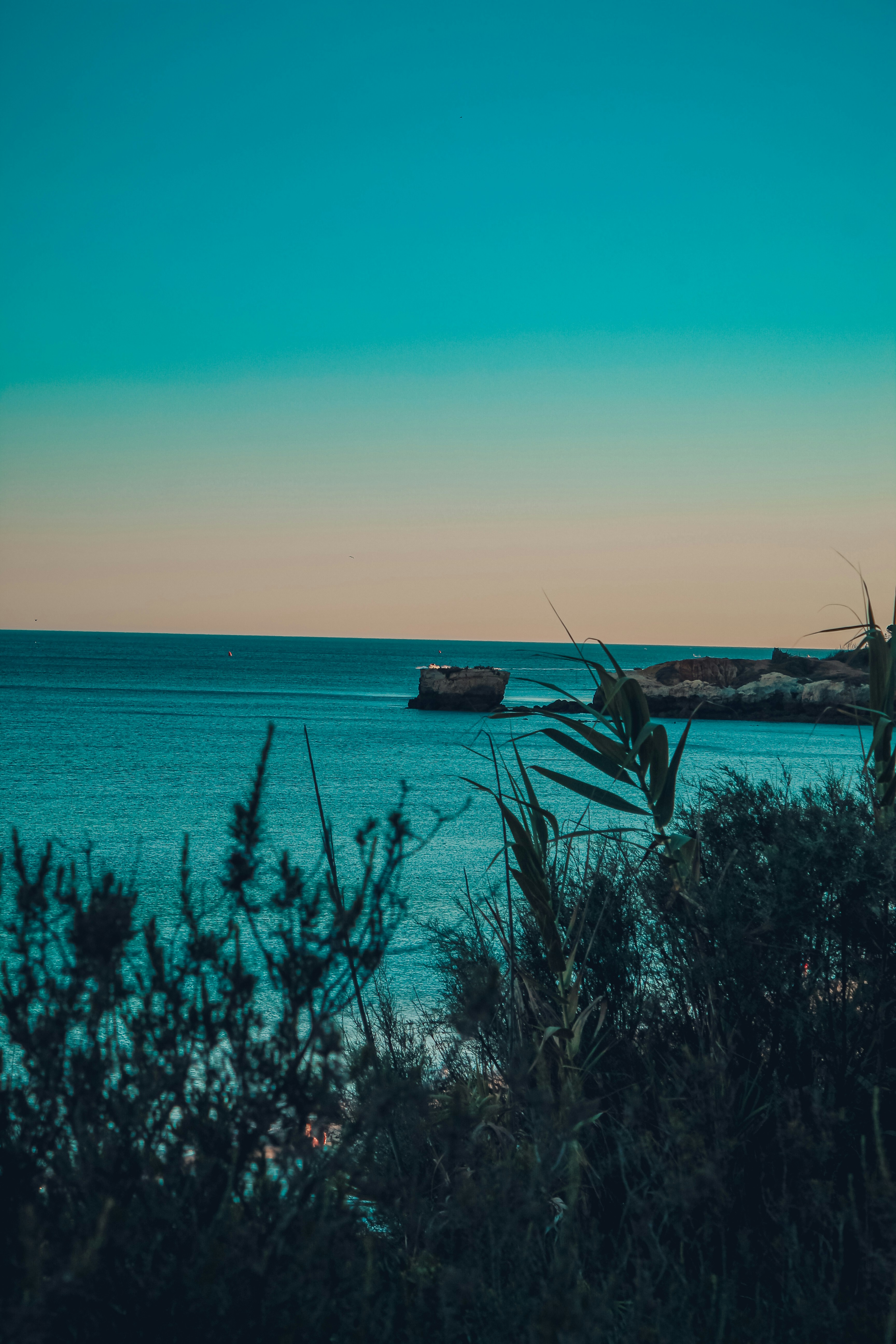 Coastal Vista with Sea Stack and Silhouetted Wildbrush