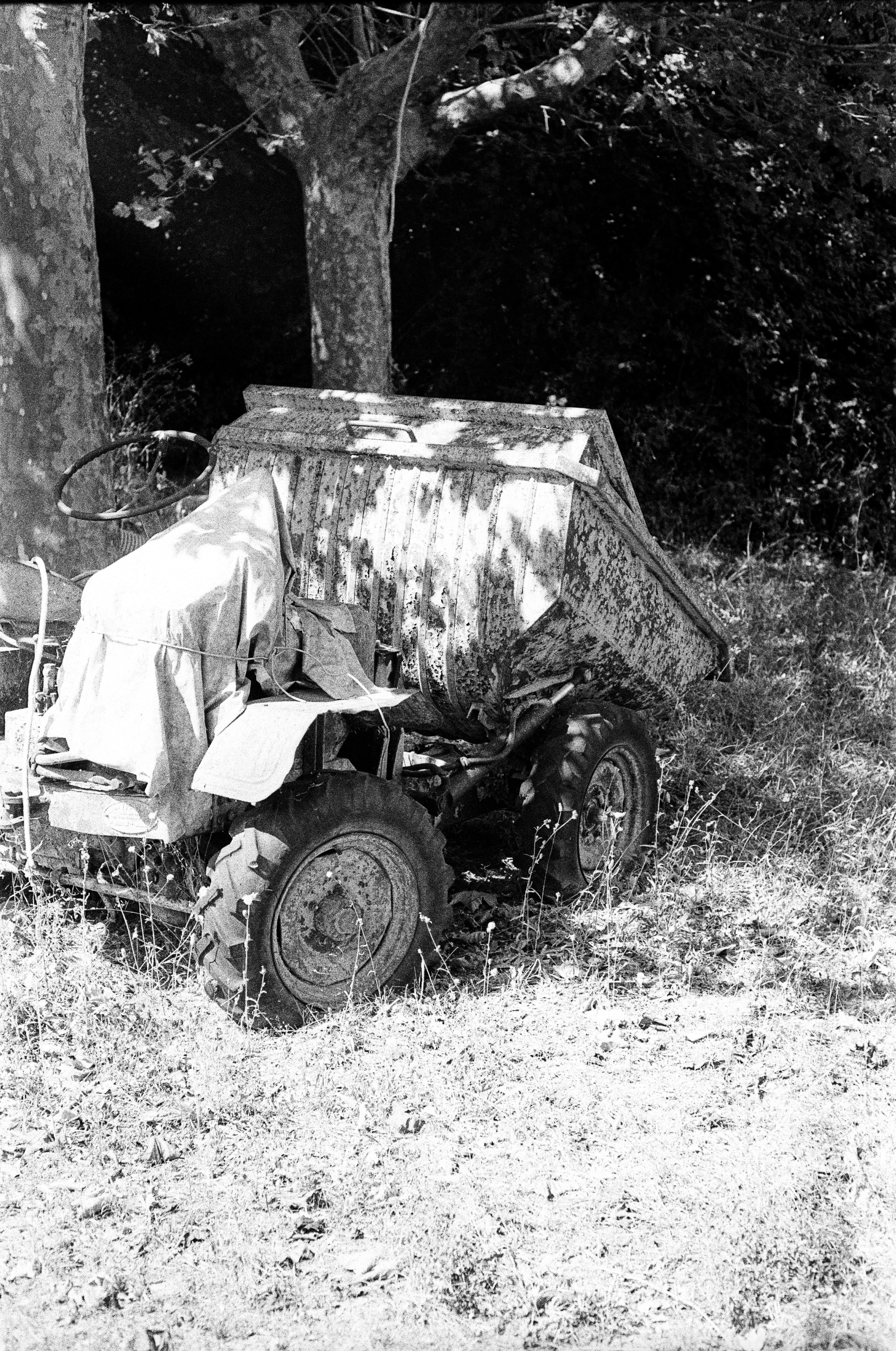Weathered Utility Vehicle Resting in the Grass