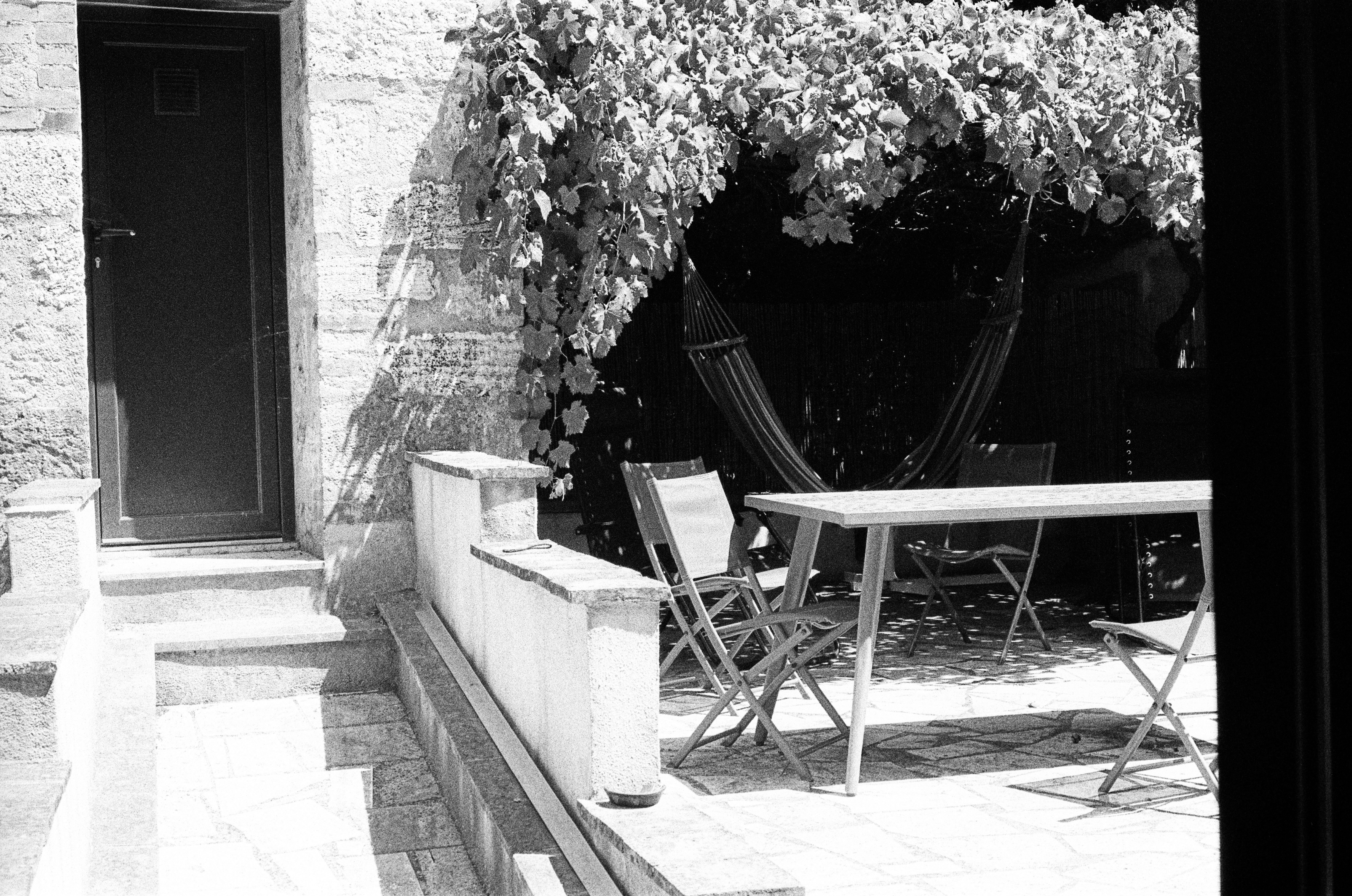 Monochrome patio scene with a doorway on the left, a railing and steps, and a folding table with chairs under a leafy canopy.