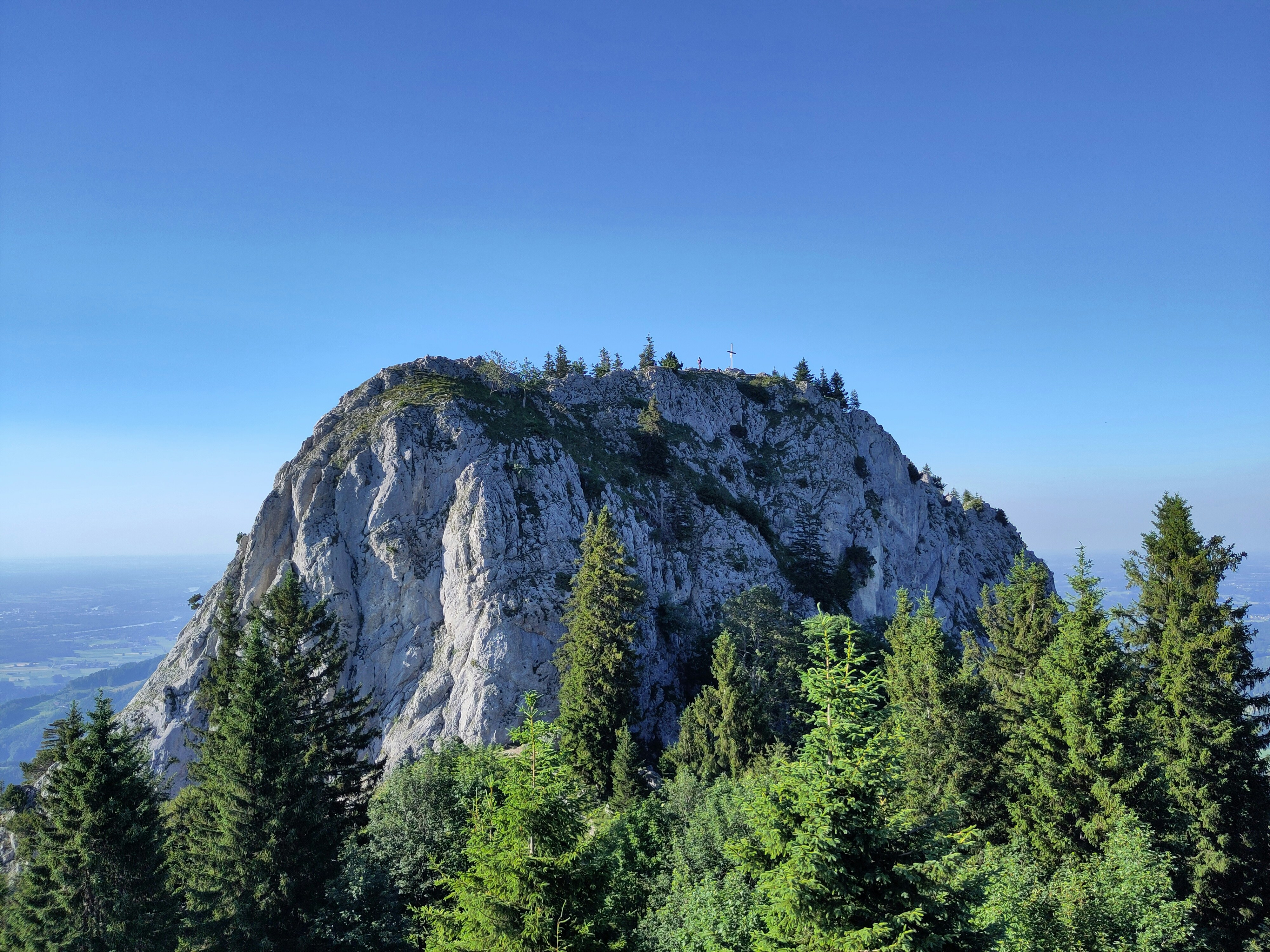 Rock Sentinel: A Granite Monolith Surrounded by Pines Under a Clear Sky