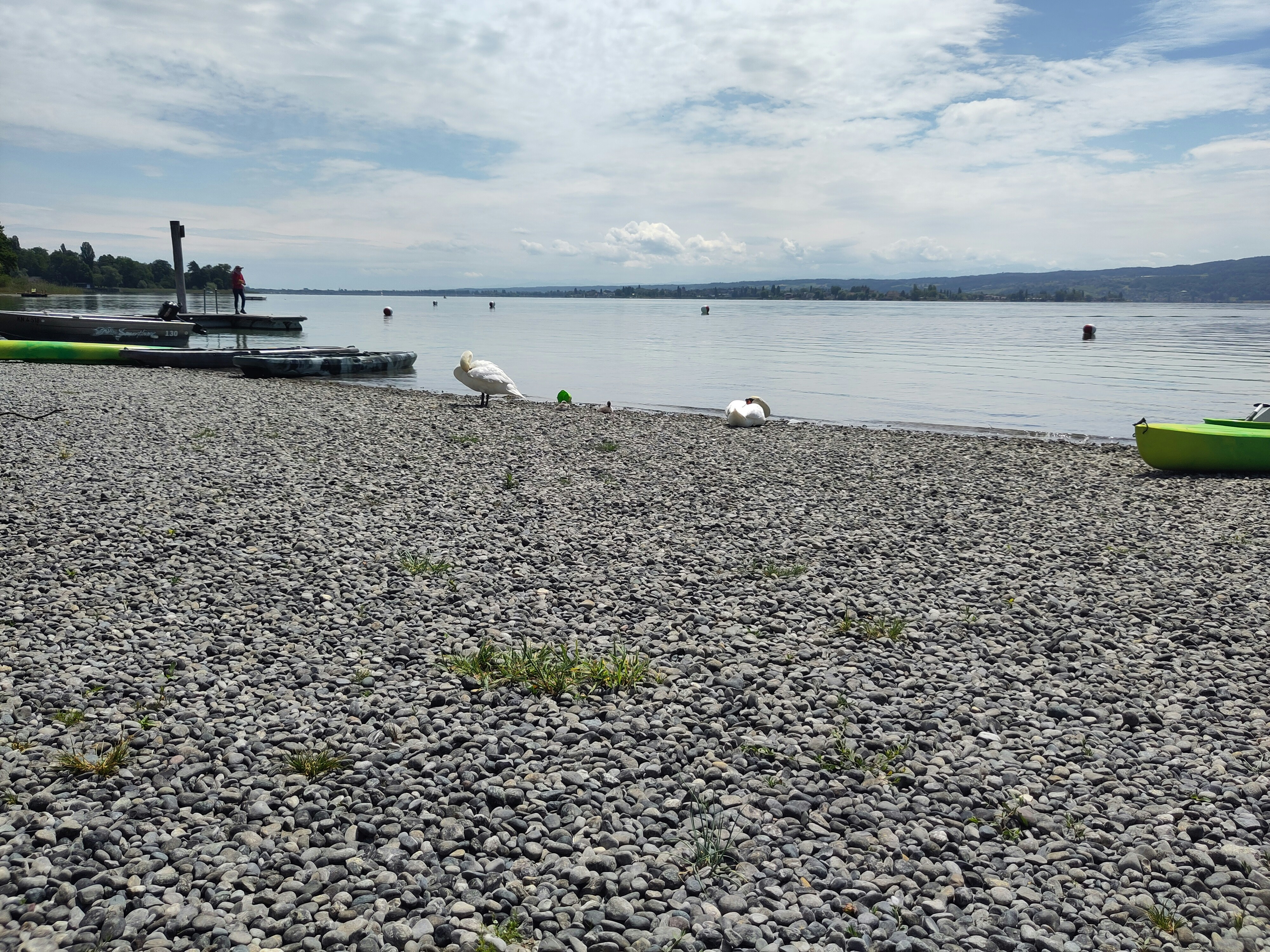 Pebble beach with calm water and distant horizon; two white birds near the shoreline and kayaks on the left. A simple landscape scene with a gentle, bright sky.