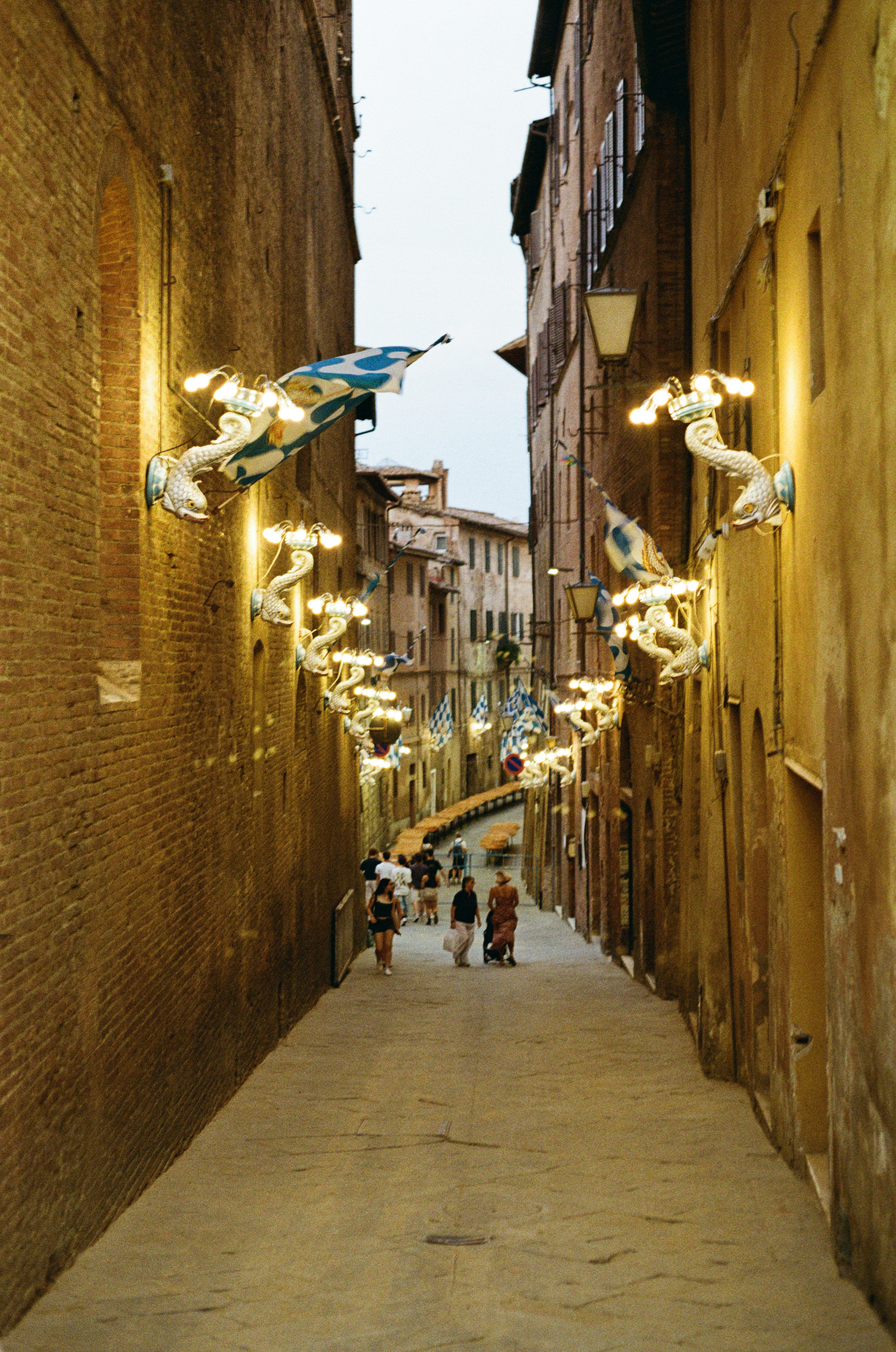 Lantern-lit Alleyway Retreat to a Gentle Bend