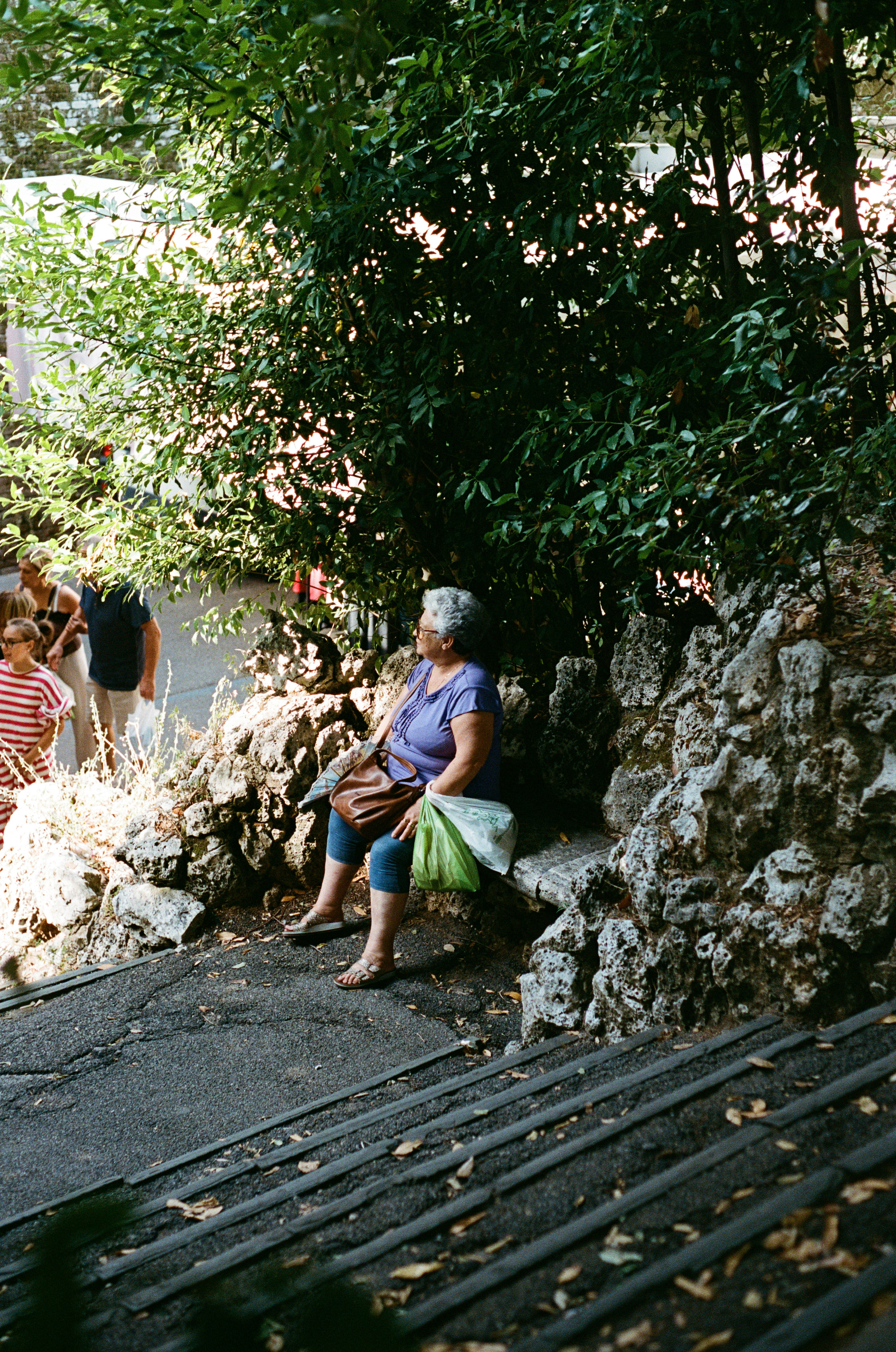 Quiet Moment on a Stone Bench Under the Canopy