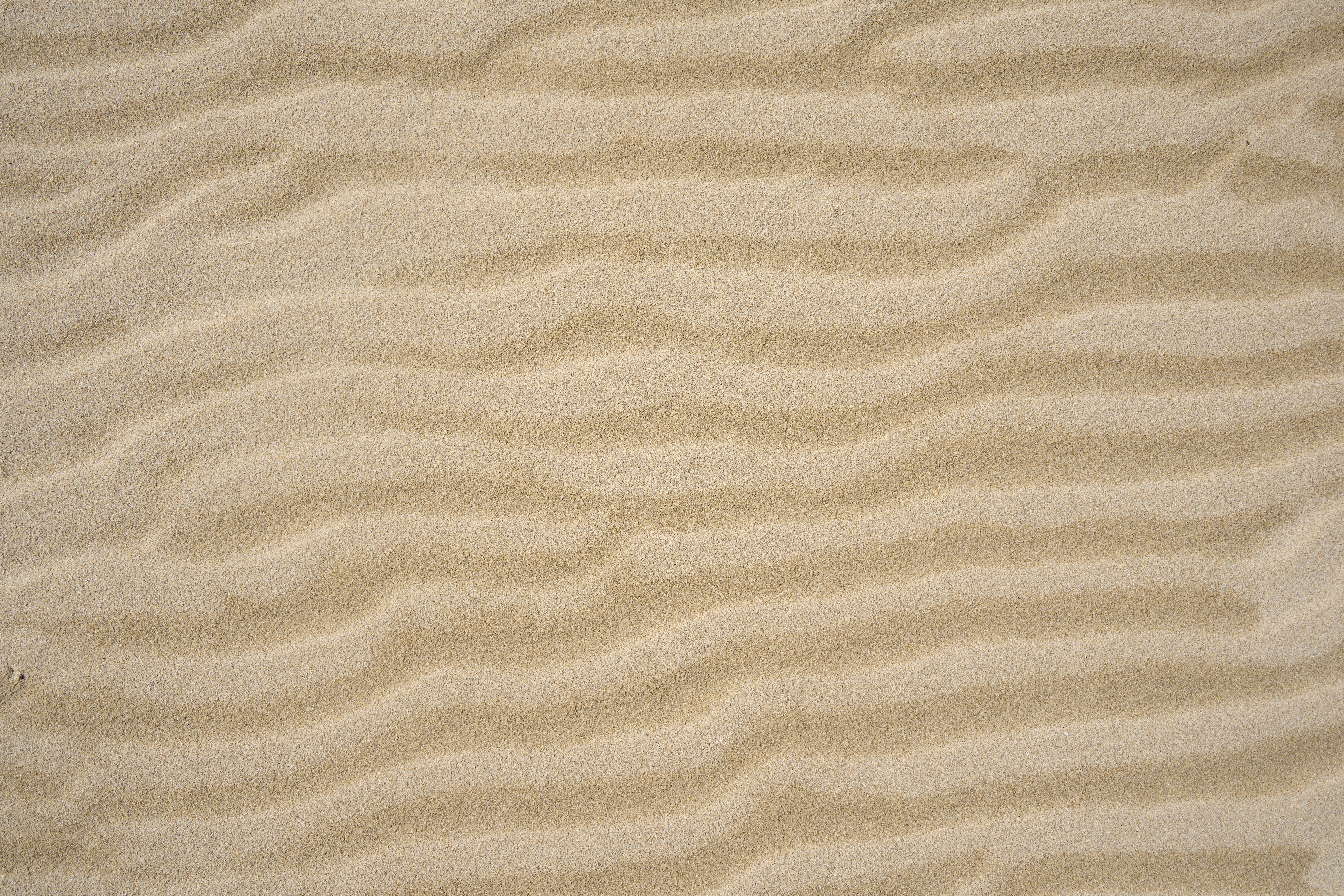 Rippled Silence: Sand Dunes Dancing in Soft Light